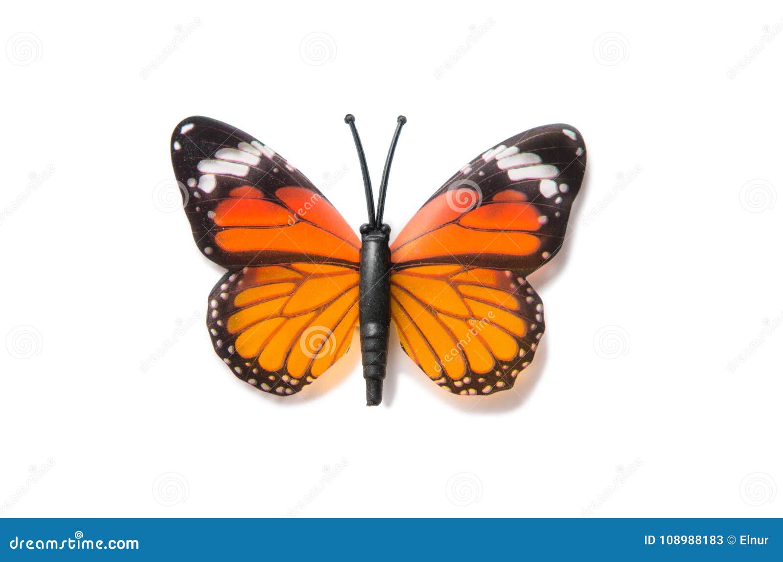 The Colourful Butterfly Isolated on White Background Stock Image ...