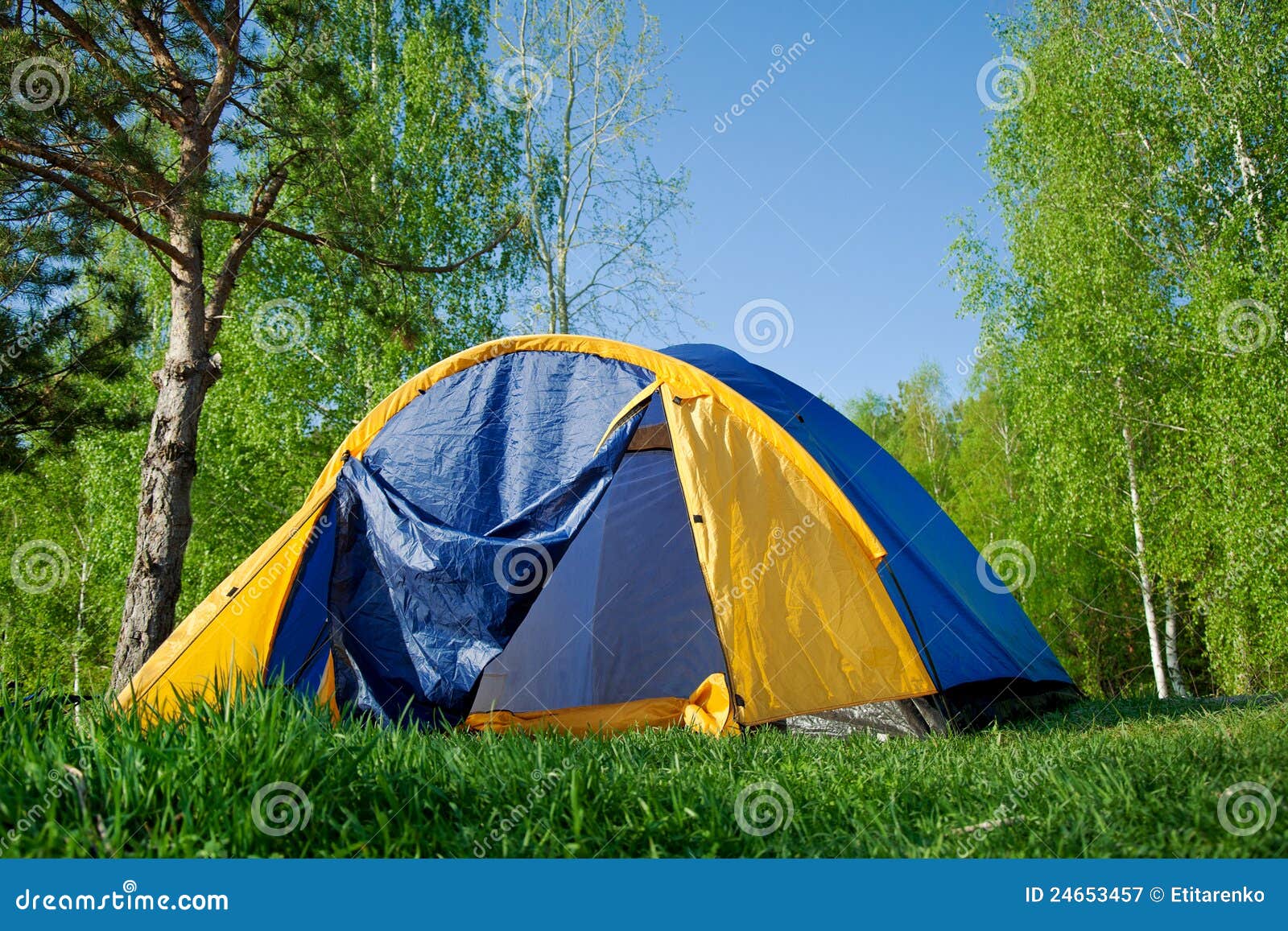 Colourful Camping Tent in the Forest Stock Image - Image of orange ...