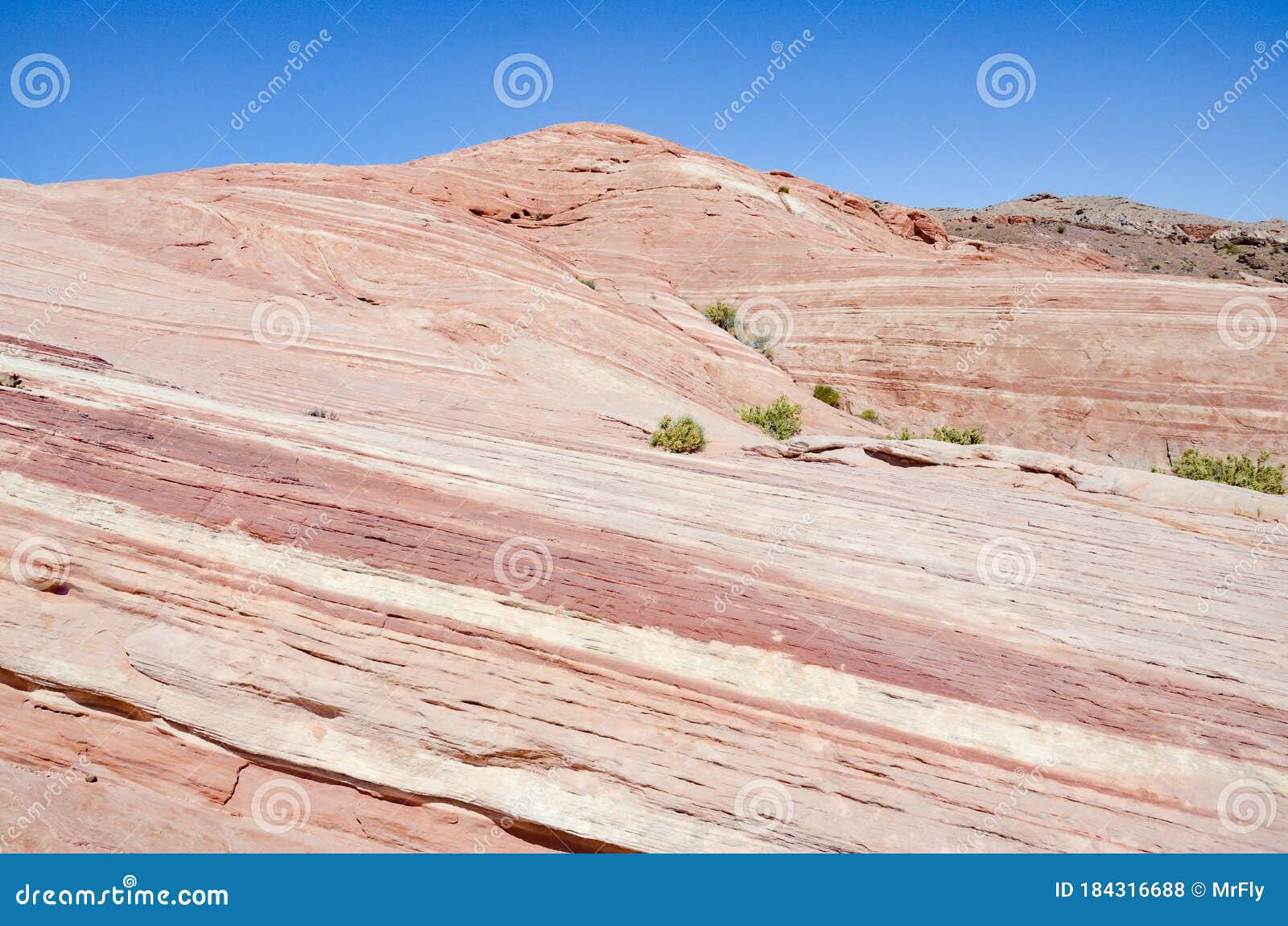 Candy Limestone Wave Formation at Valley of Fire Stock Photo - Image of ...