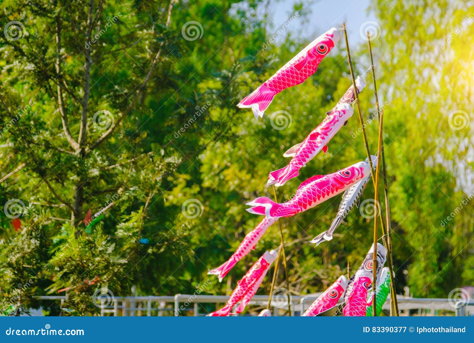 Colourful Carp Streamers or Koinobori Flutter Stock Image - Image of ...