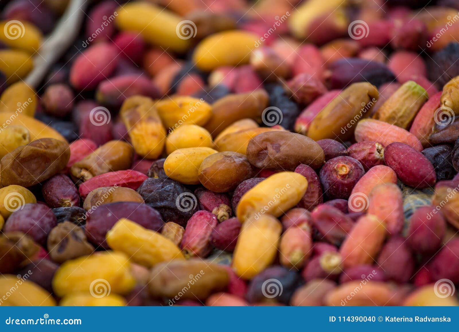 Colourful Dates on the Ground Stock Photo - Image of colourful, flowers ...