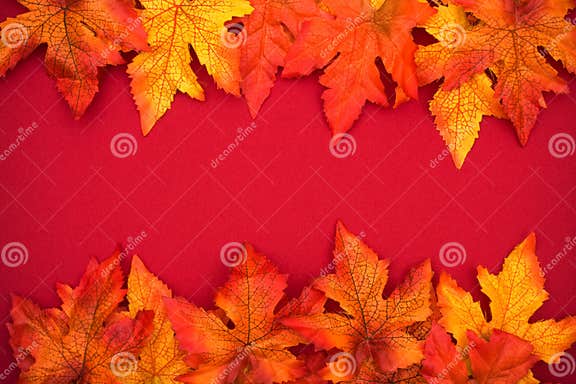 Colourful Fall Background Frame Stock Image - Image of month, season ...