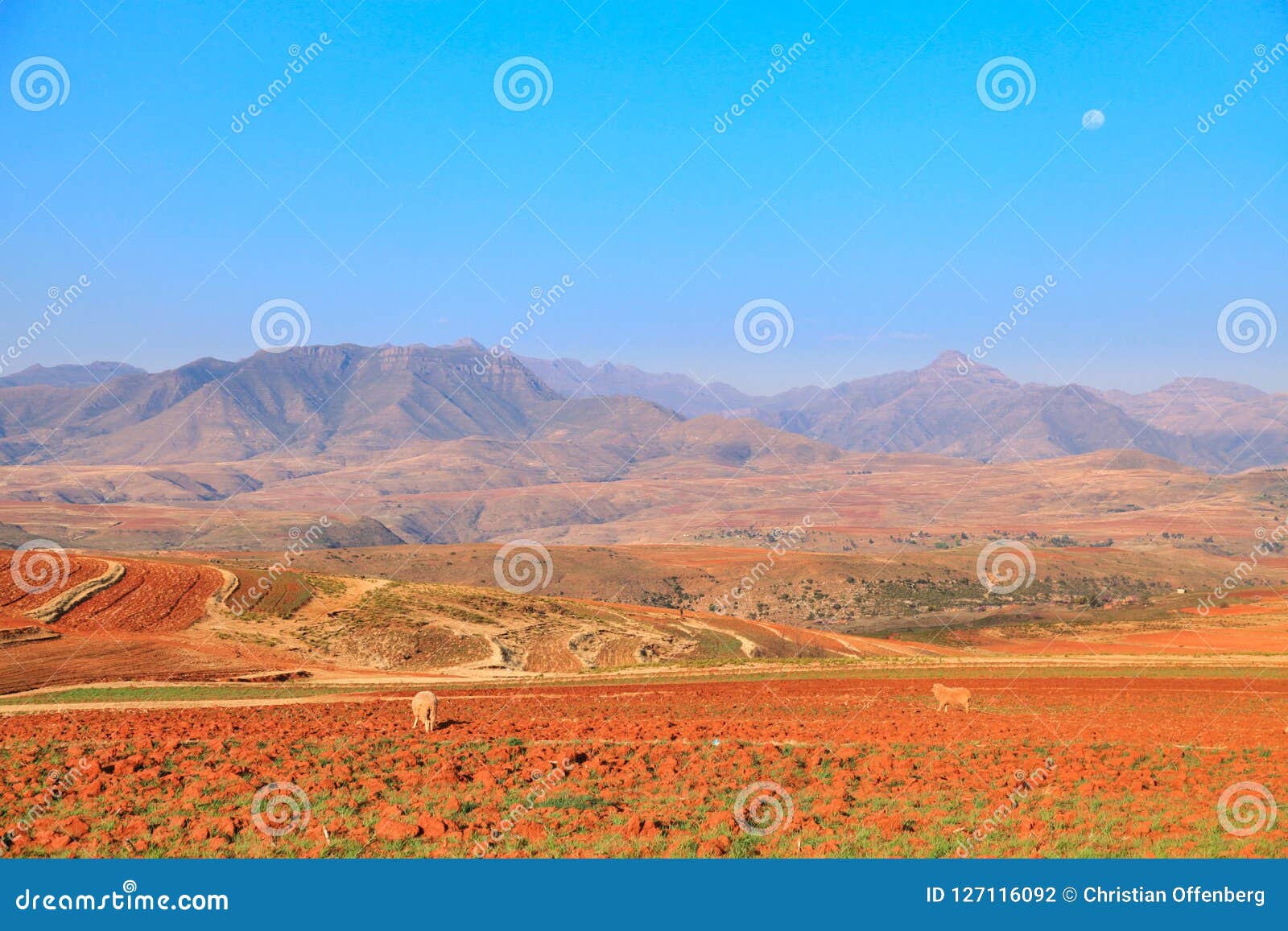 The Kingdom of Lesotho, Home of the Basotho Stock Photo - Image of ...
