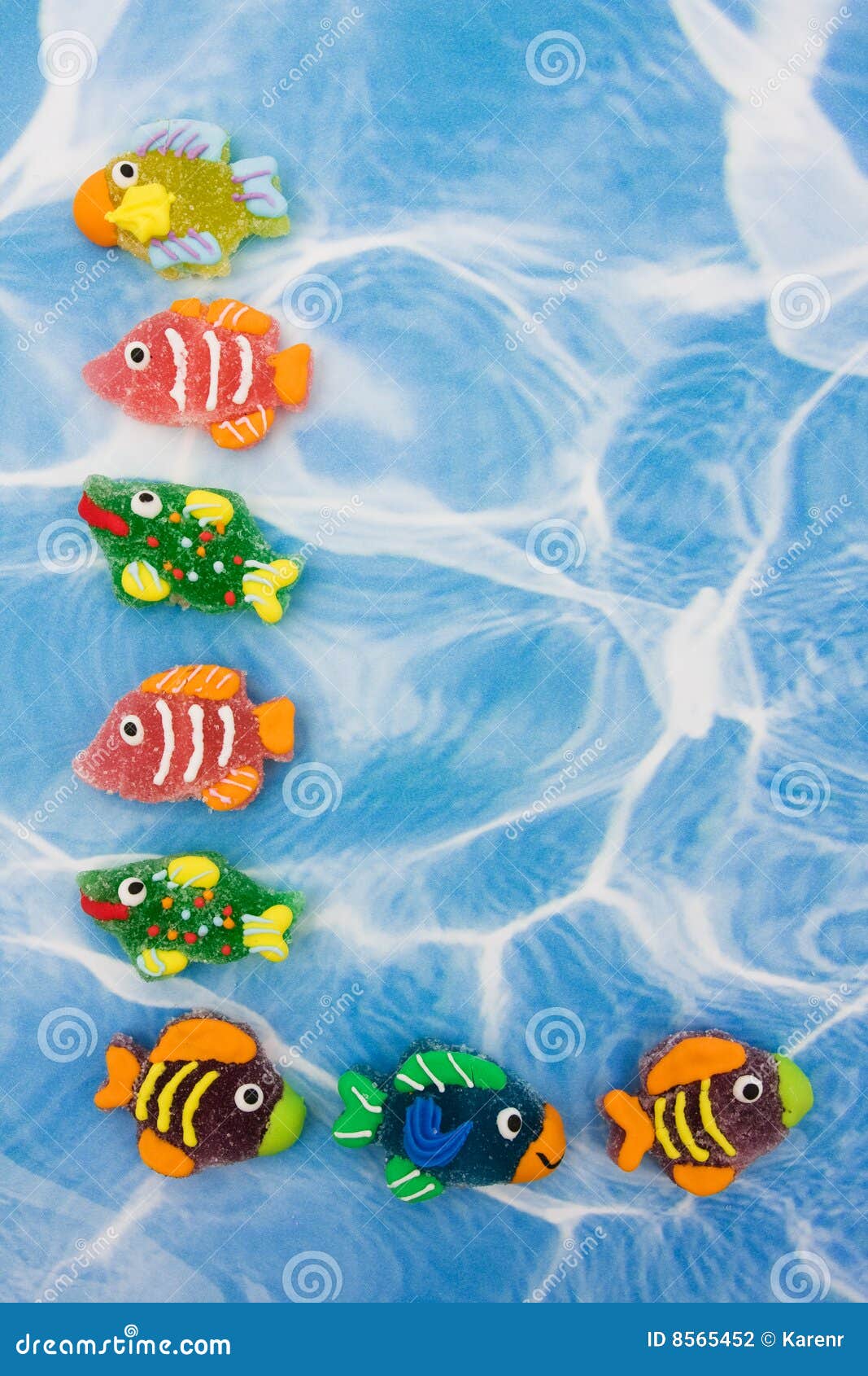 Colourful Fish Border stock photo. Image of copy, colourful - 8565452