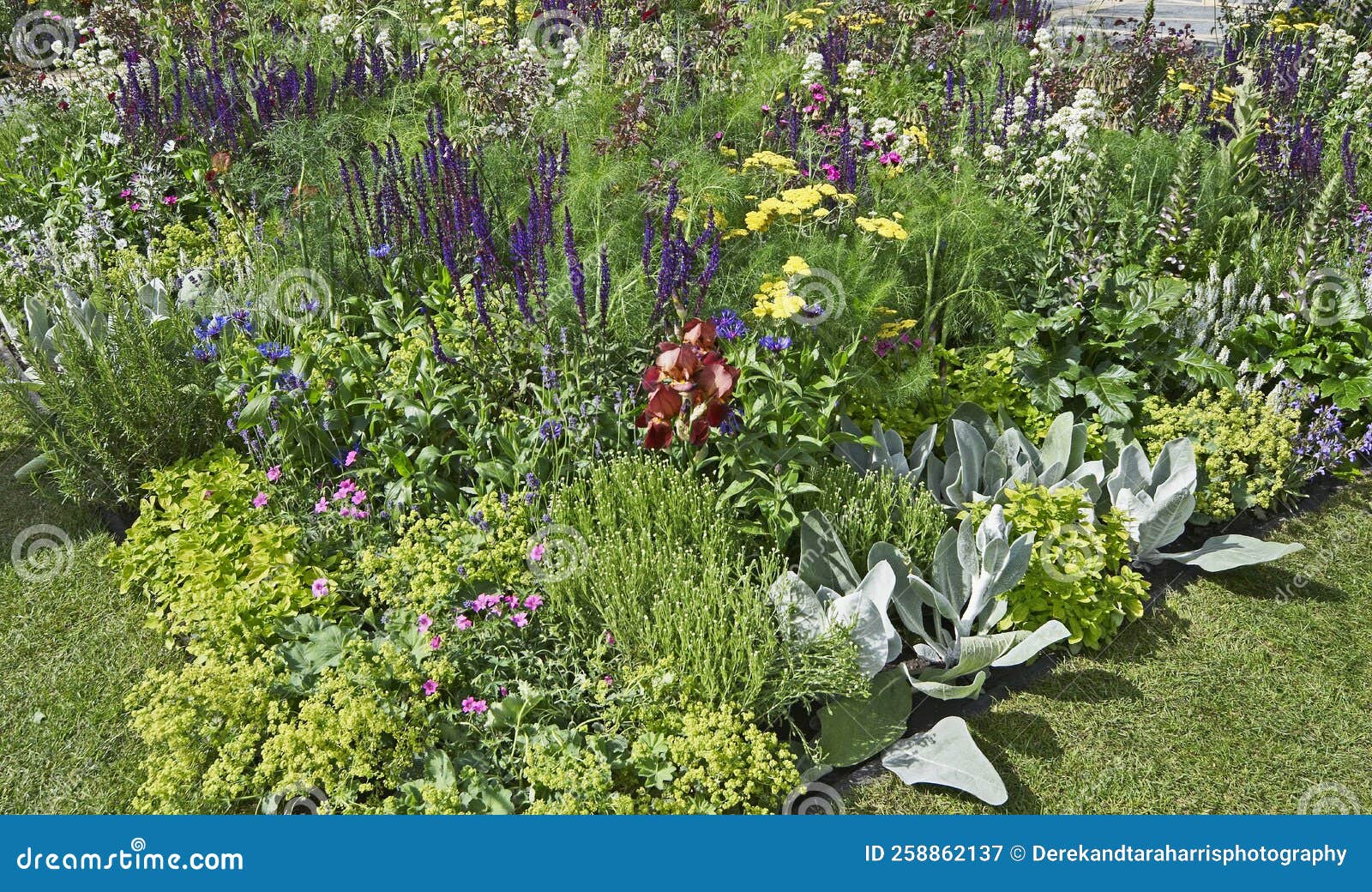 Colourful Flower Border with Mixed Planting Stock Image - Image of 6702 ...