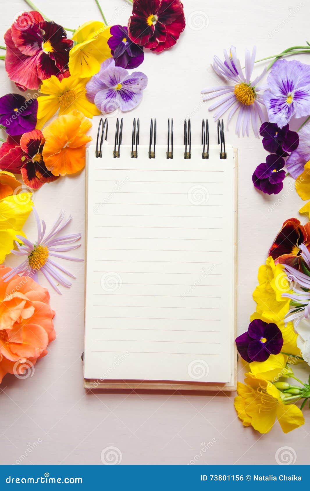 Colourful Flowers and an Open Notebook on the White Background Stock ...