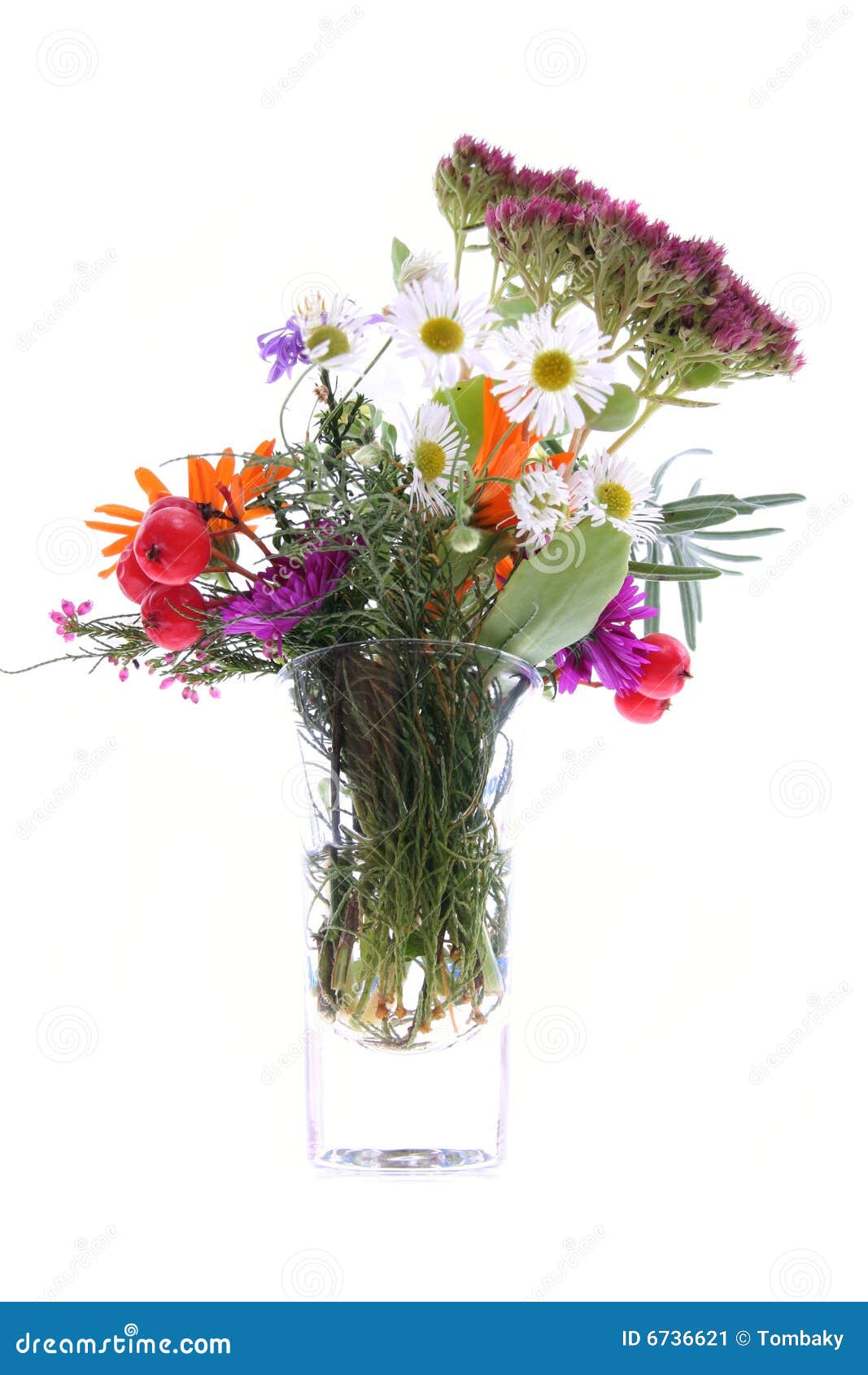 Colourful Flowers in the Vase Stock Image - Image of beautiful, aster ...