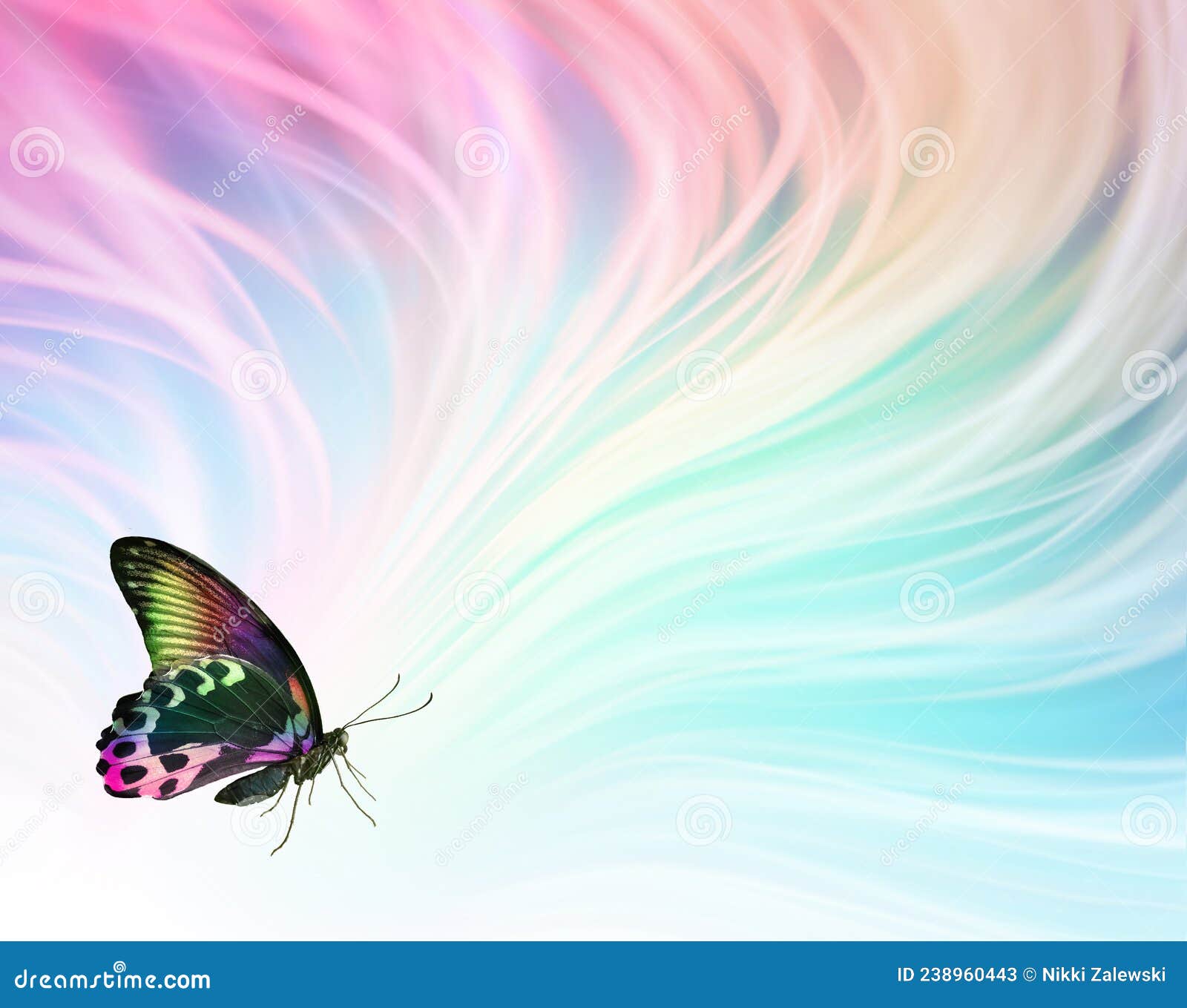 Colourful Flowing Butterfly Message Background Stock Image - Image of ...