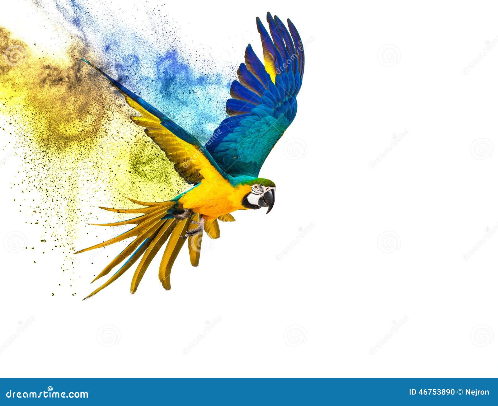 Flying Ara Parrot Stock Photography | CartoonDealer.com #45867752