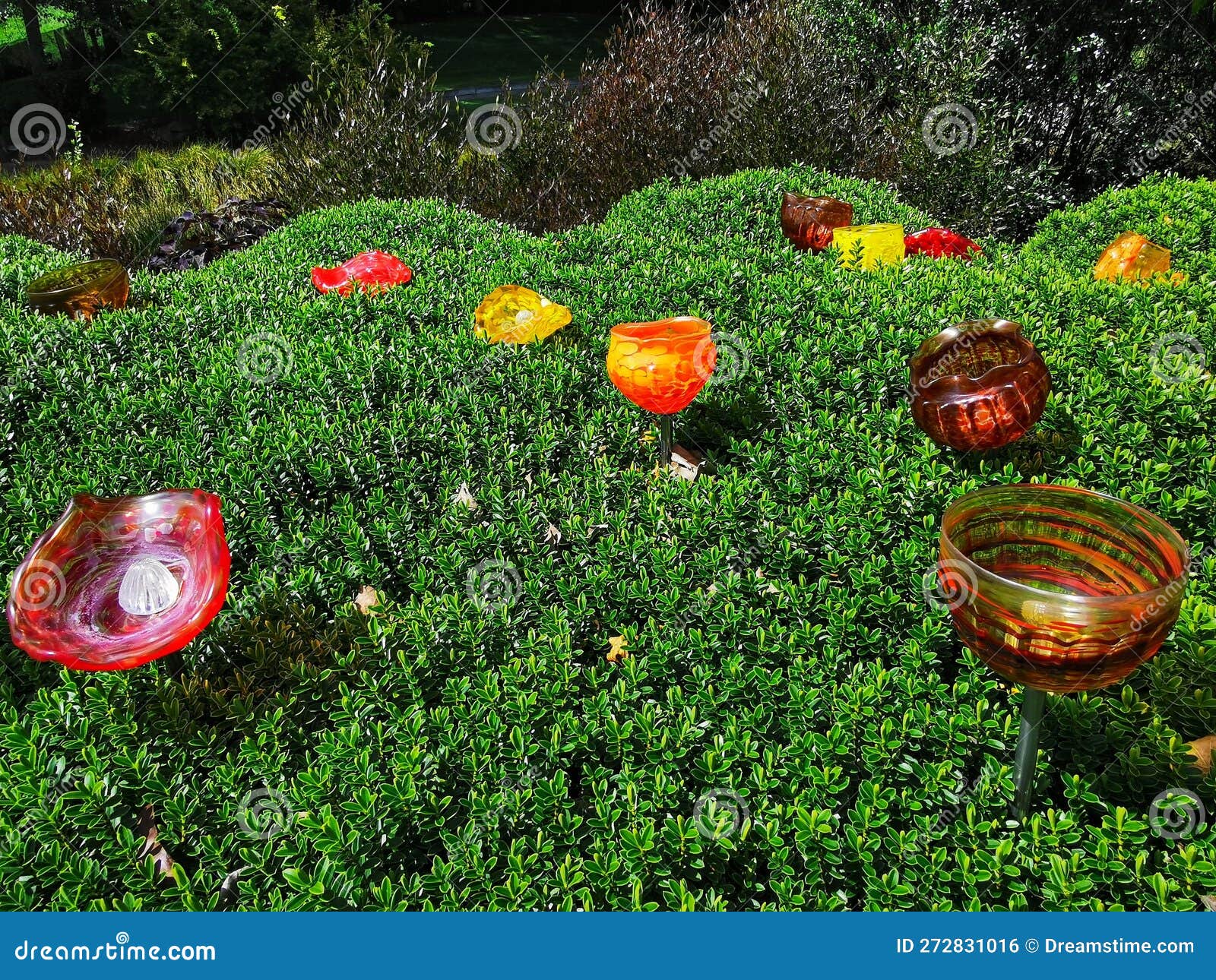 Colourful Glass Installation on a Dense Bushes Stock Photo - Image of ...
