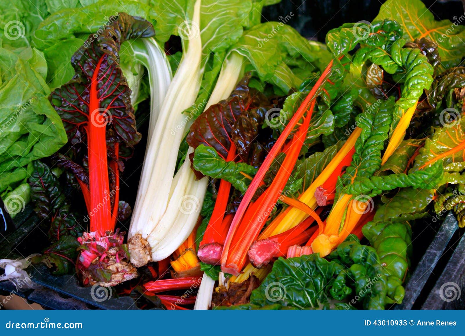 Colourful greens stock image. Image of fresh, vegetables - 43010933