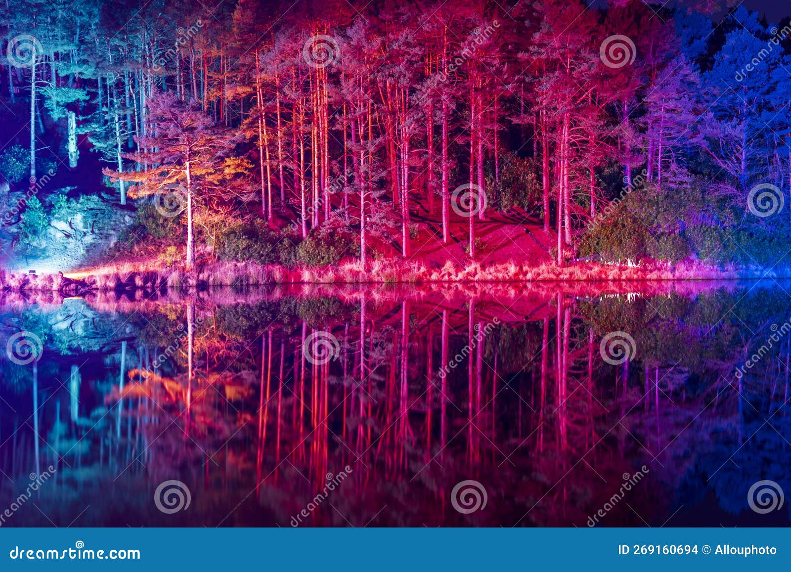 Colourful Illuminations Around the Lake at Blue Pool in Dorset Stock ...