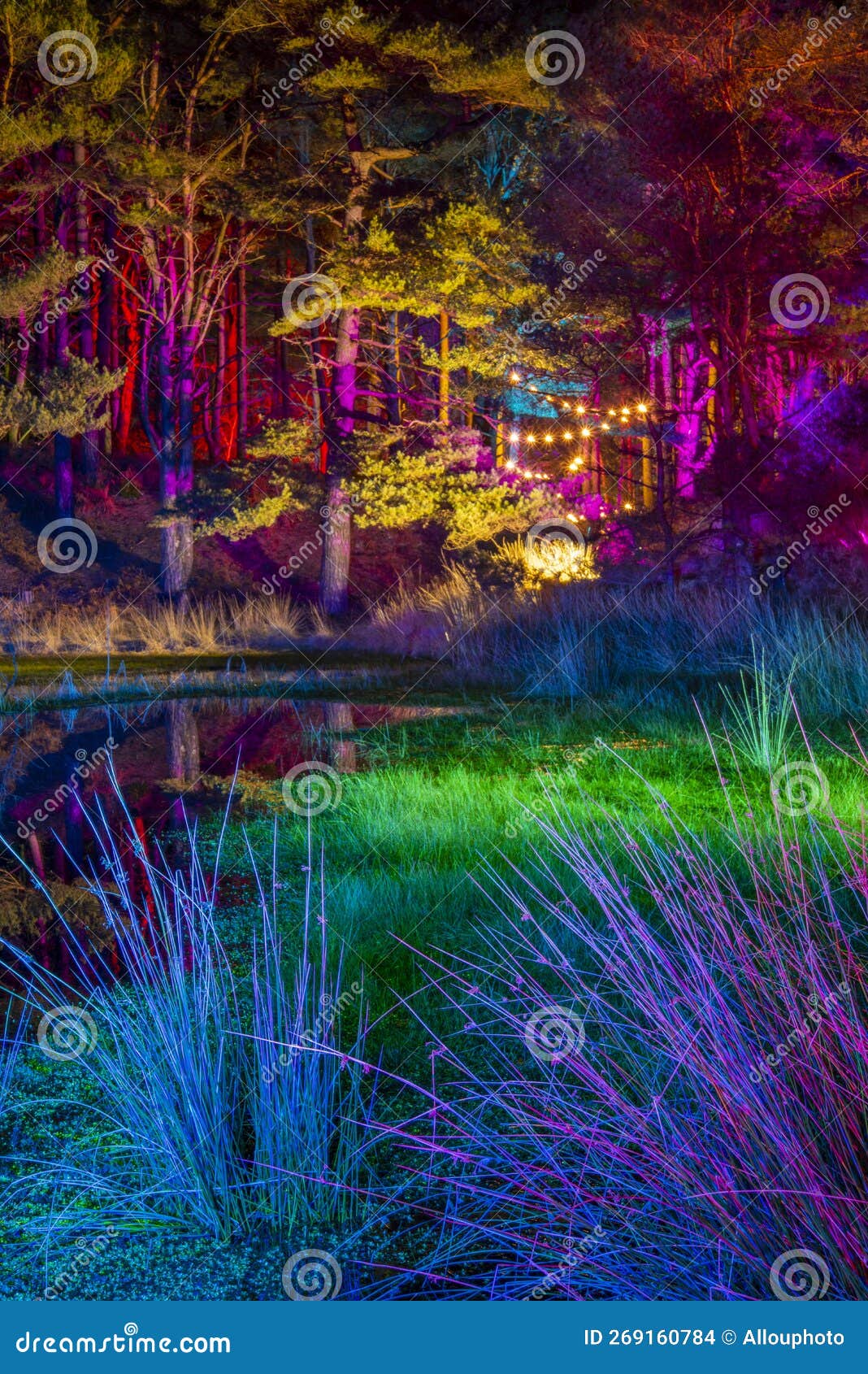 Colourful Illuminations Around the Lake at Blue Pool in Dorset Stock ...
