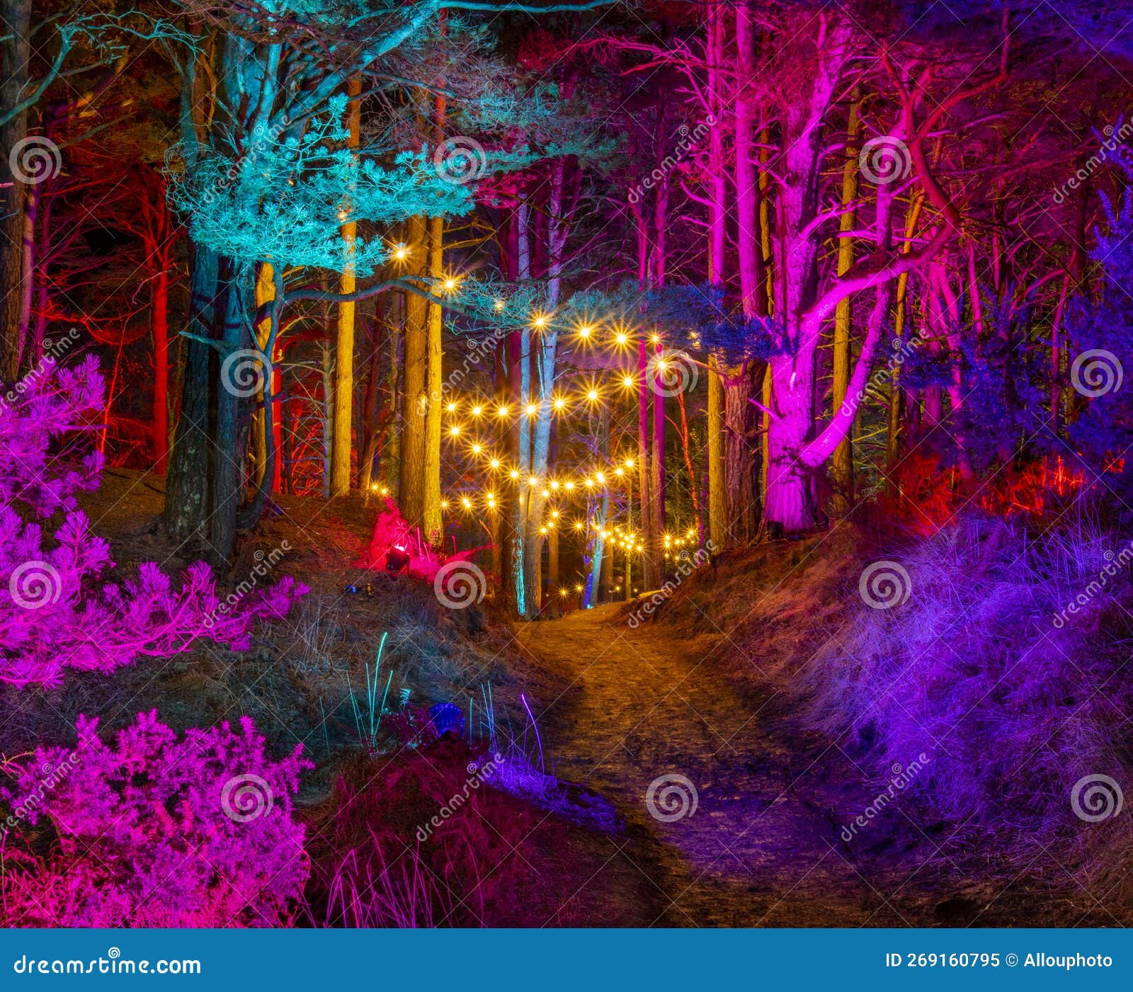 Colourful Illuminations Around the Lake at Blue Pool in Dorset Stock ...