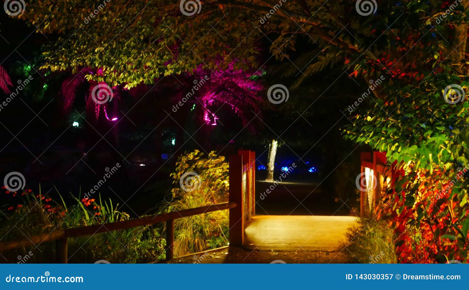 Colourful lit bridge stock image. Image of night, beautiful - 143030357