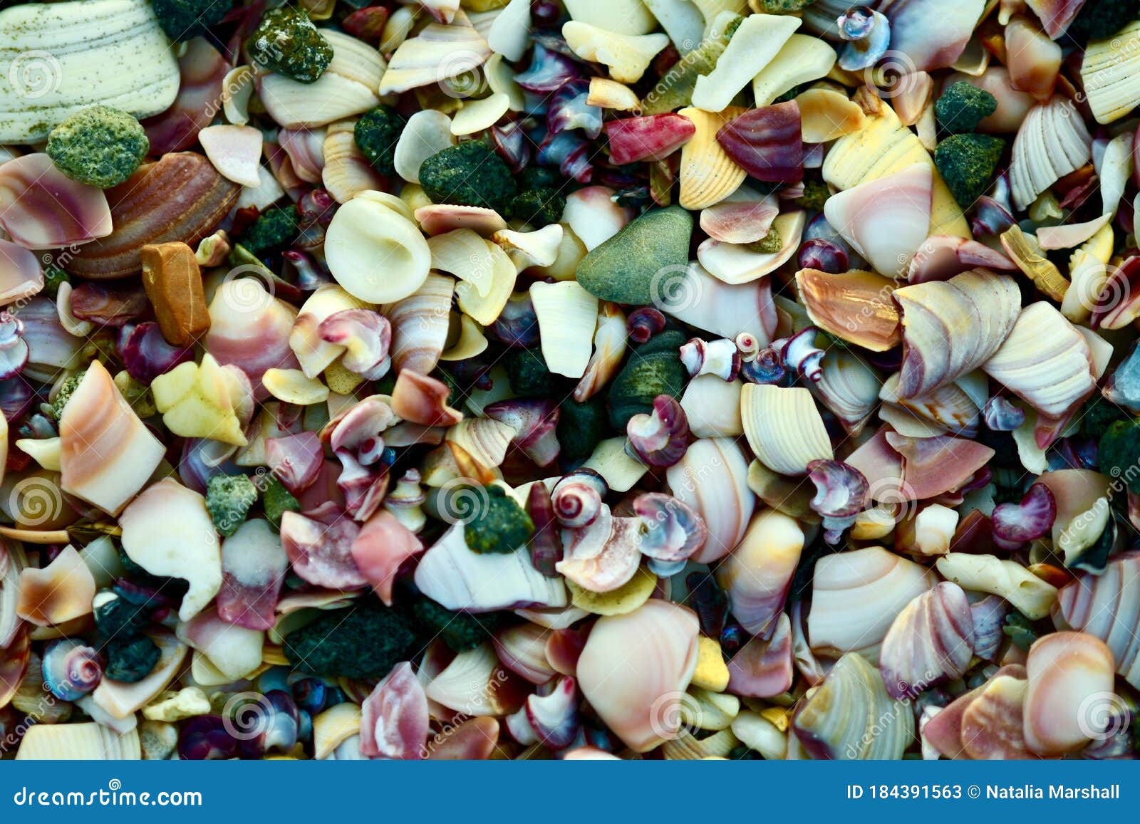 Colourful Mixture of Broken Shells and Sand, Forming Bright and ...