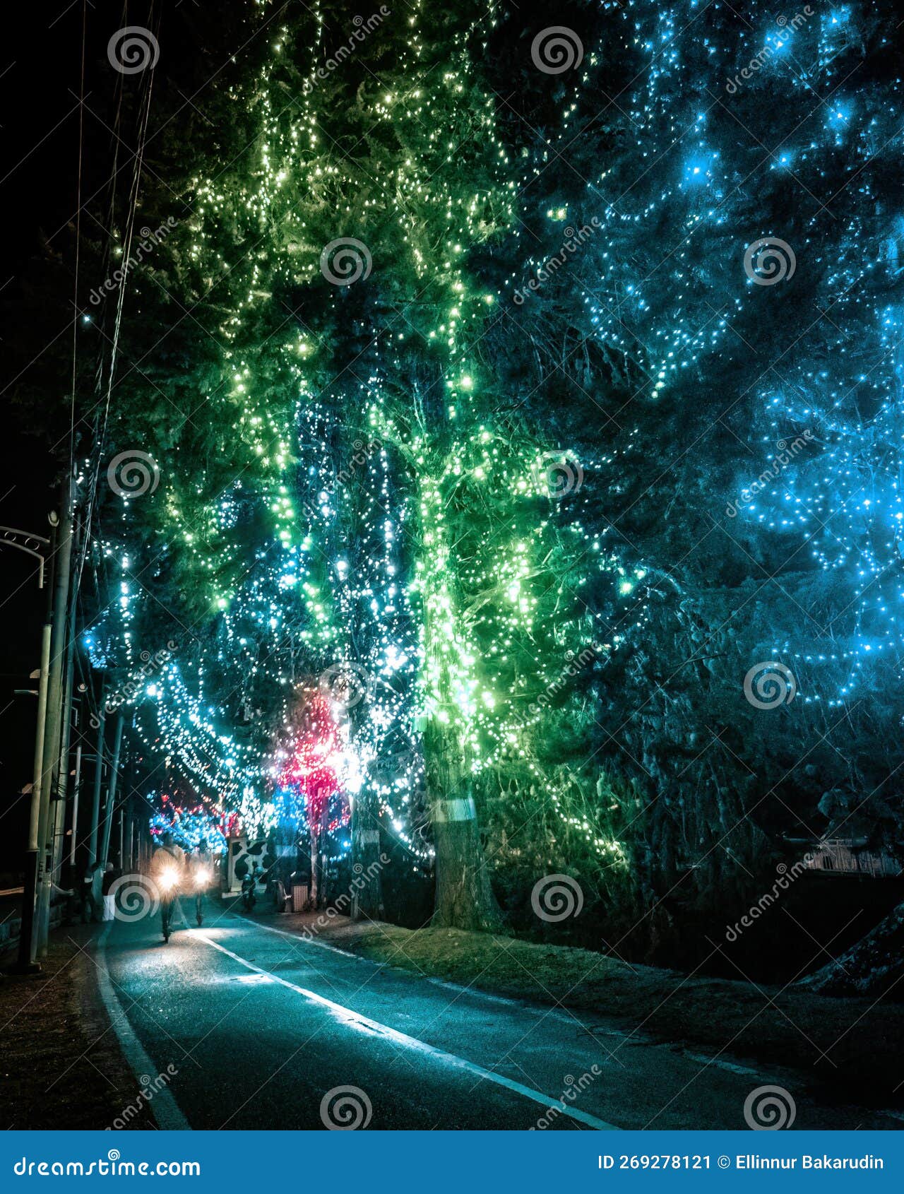 Colourful Neon Park at Night. Magical Road Stock Image - Image of adult ...