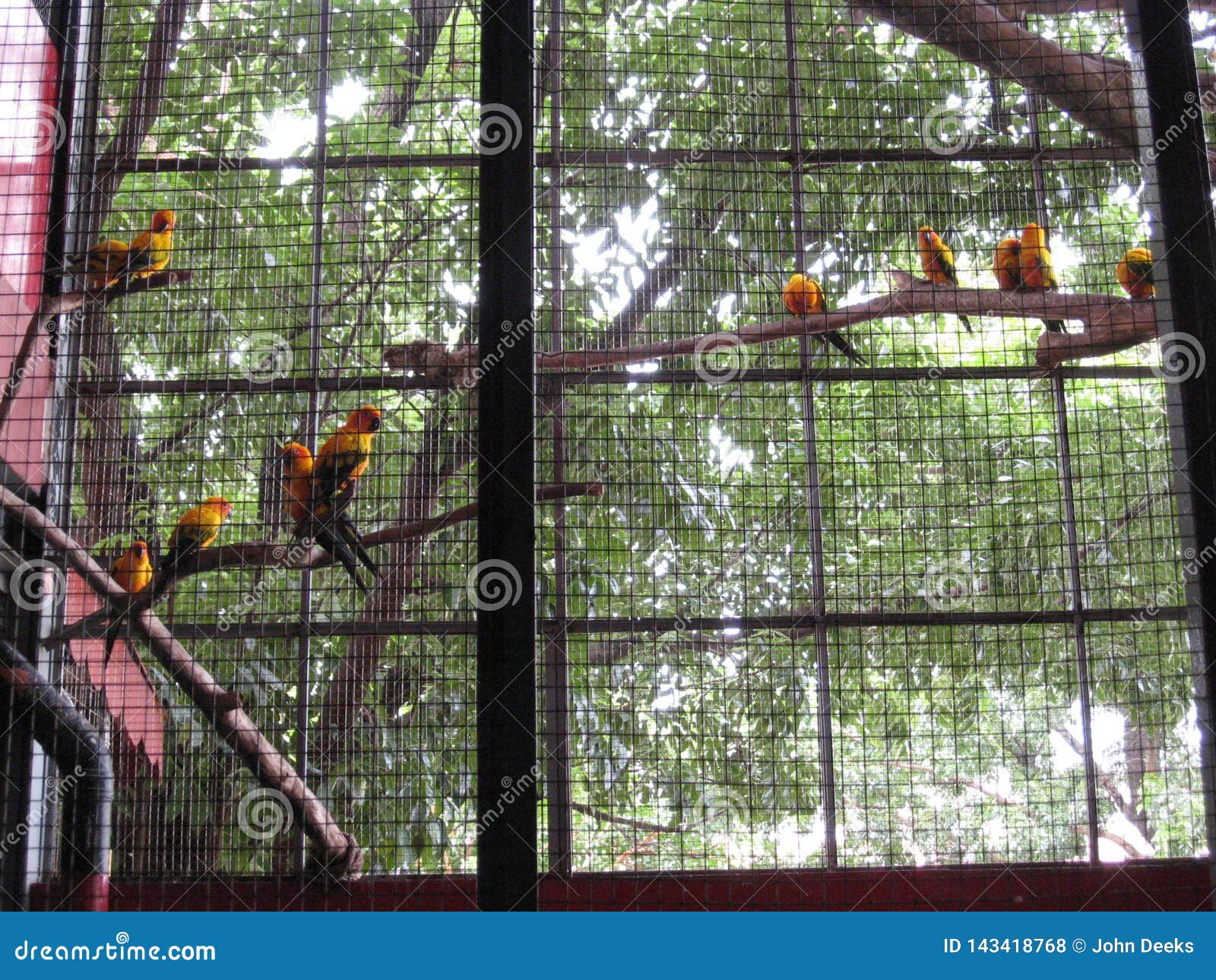 Colourful Parrots in an Aviary at Manila Ocean Park, Manila Stock Photo ...