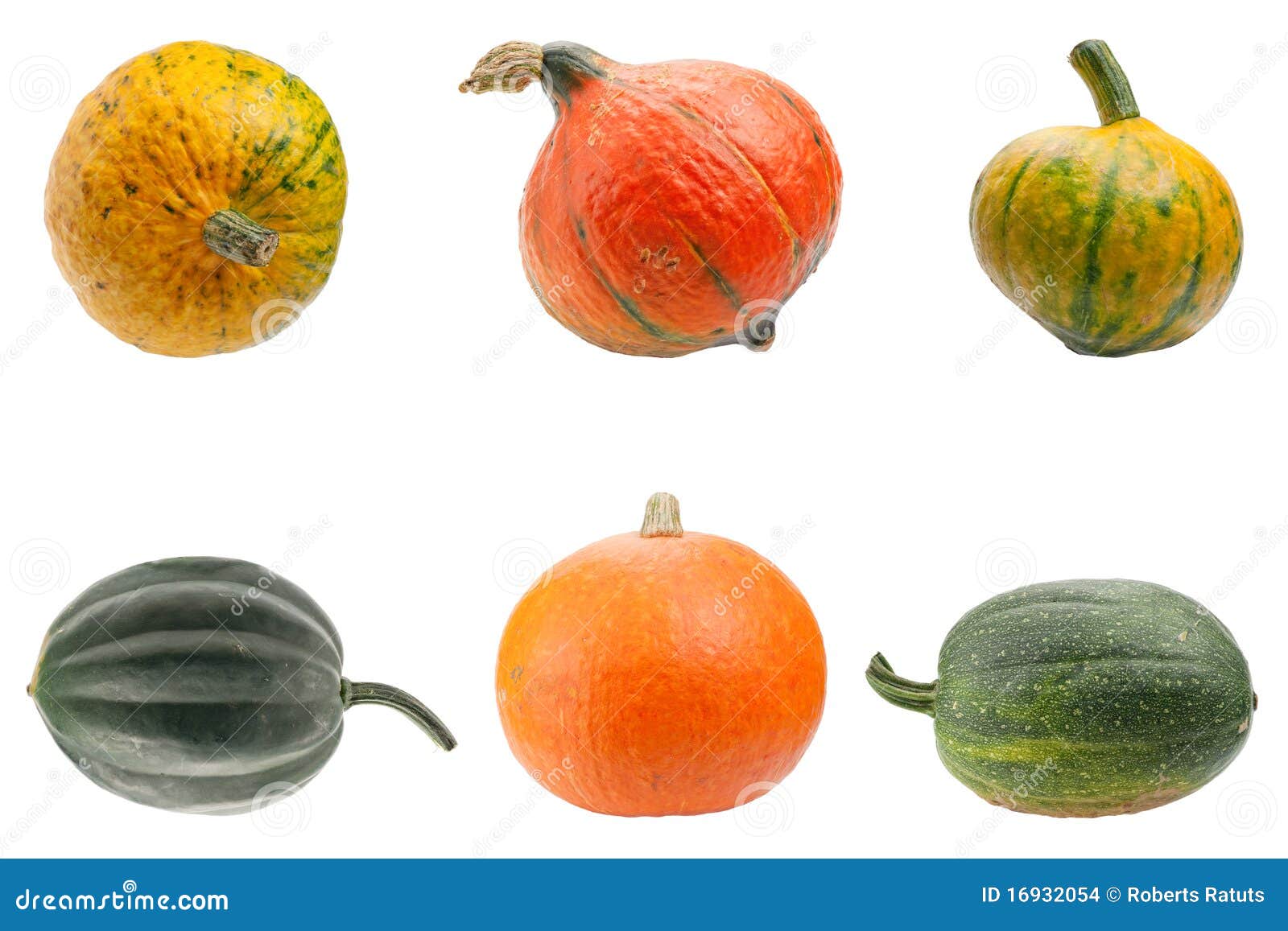 Colourful Pumpkins Isolated on White Background. Stock Photo - Image of ...