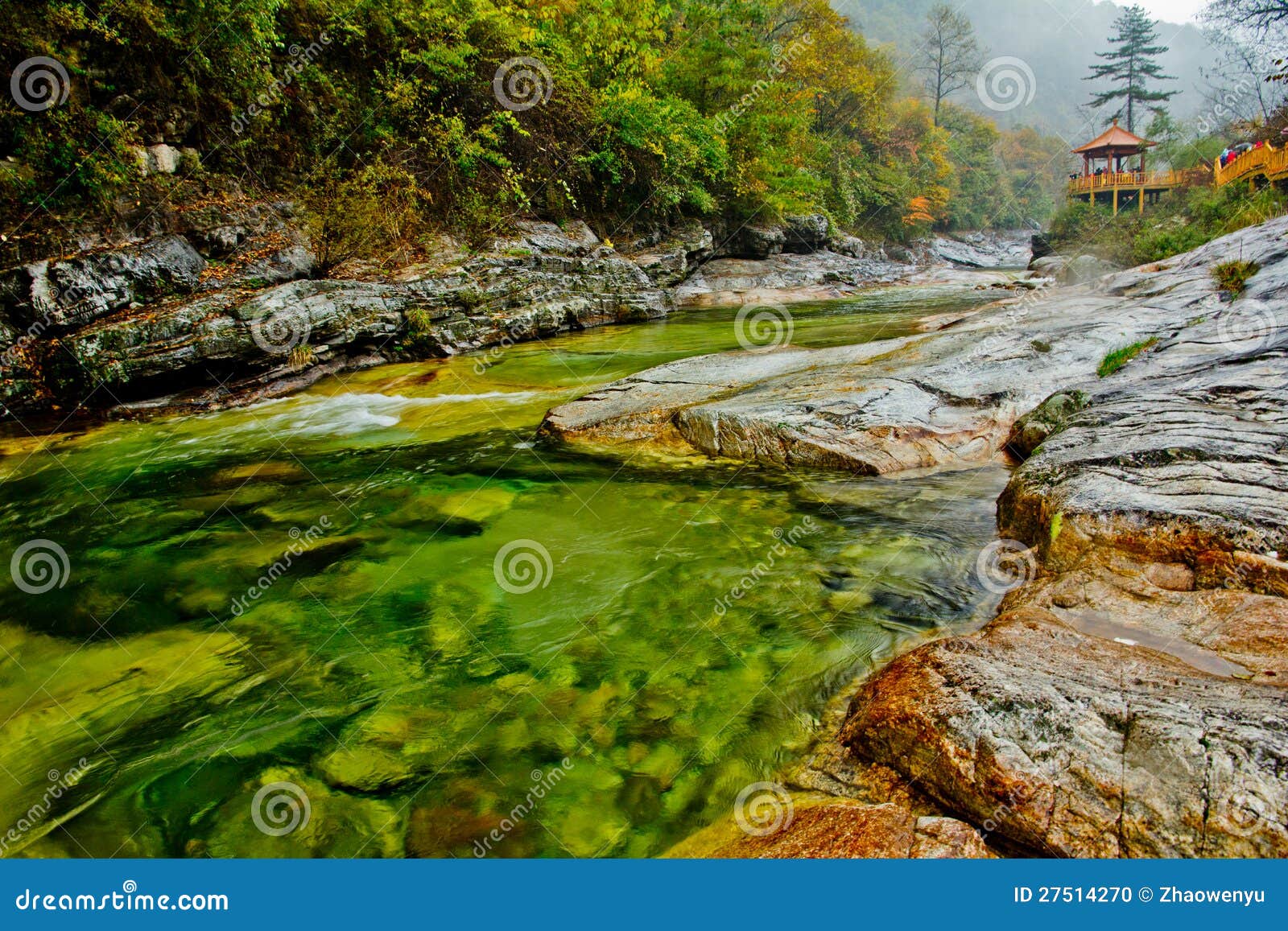 The Colourful River Bank stock photo. Image of forest - 27514270