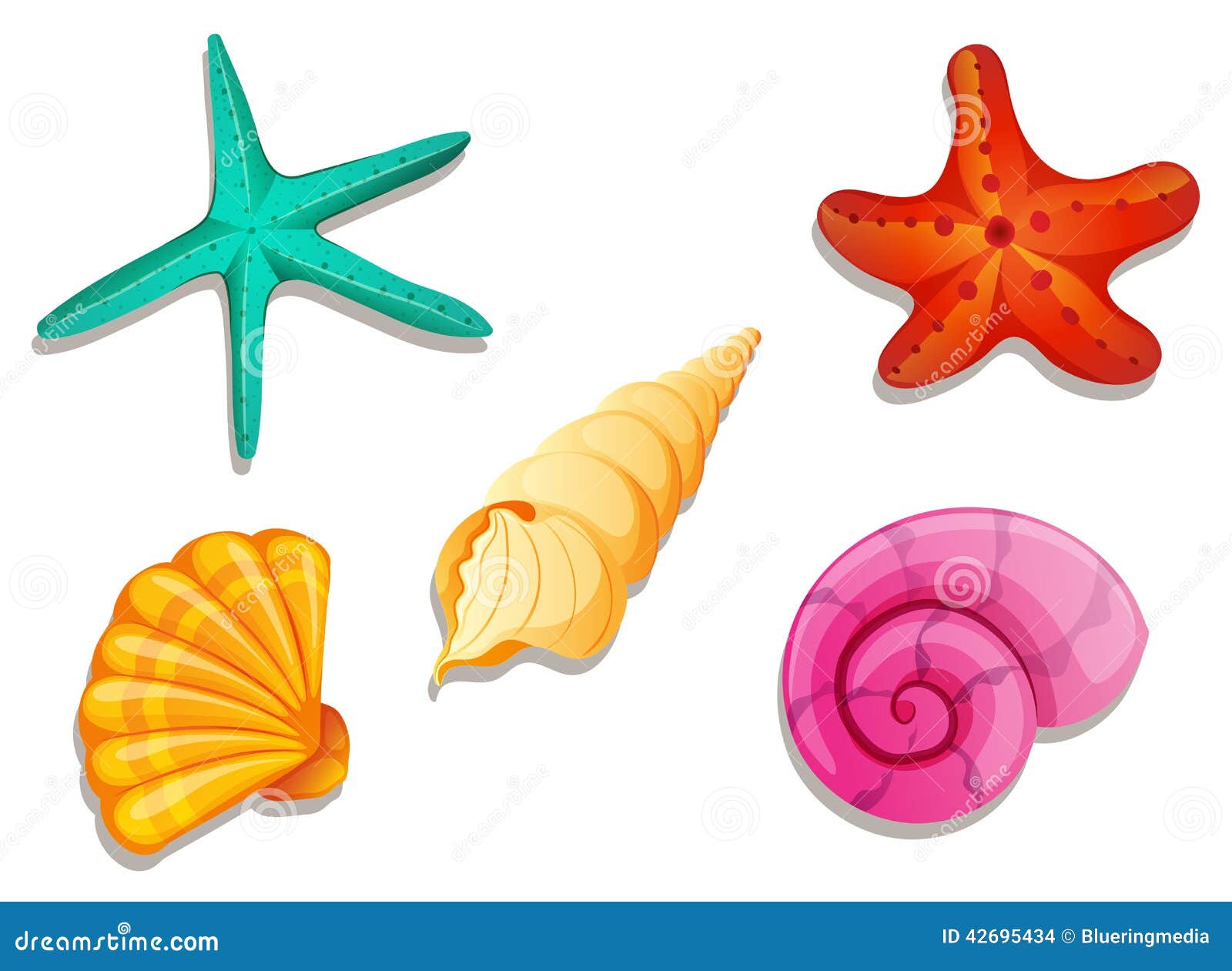 Colourful seashells stock vector. Illustration of nature - 42695434