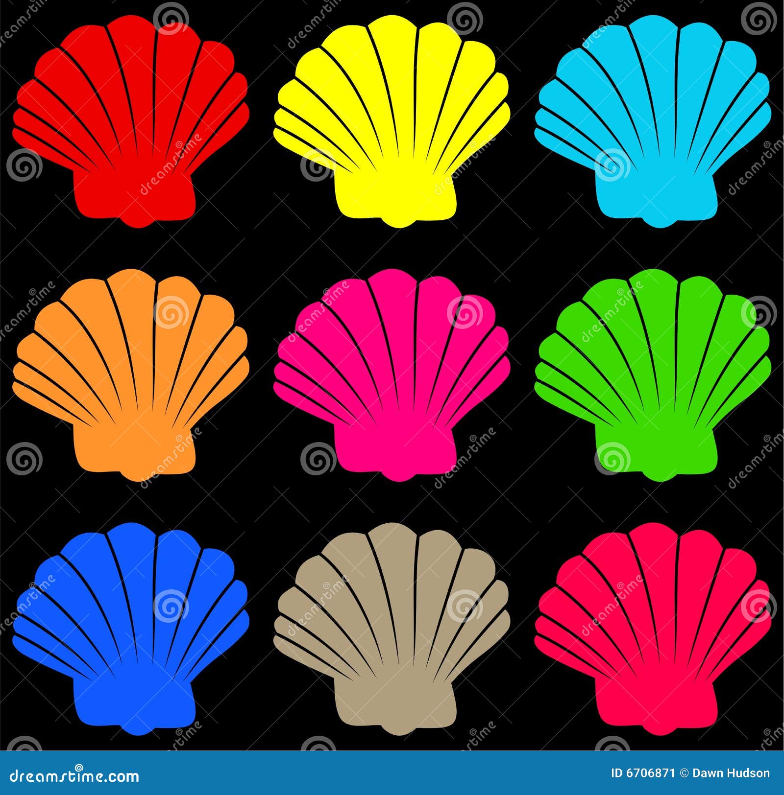 Colourful shell stock illustration. Illustration of beach - 6706871