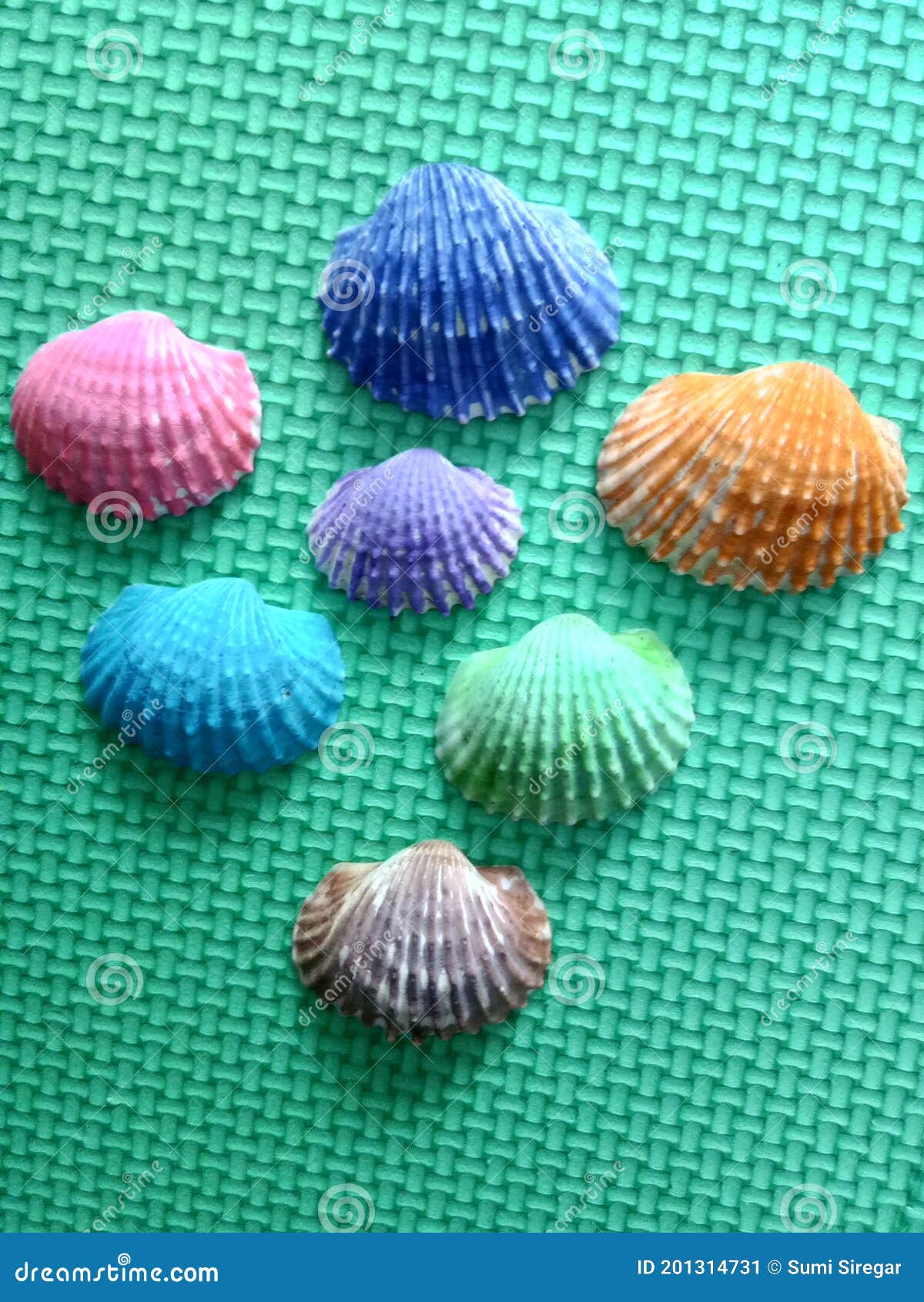 Colourful shell on a map stock image. Image of colourful - 201314731
