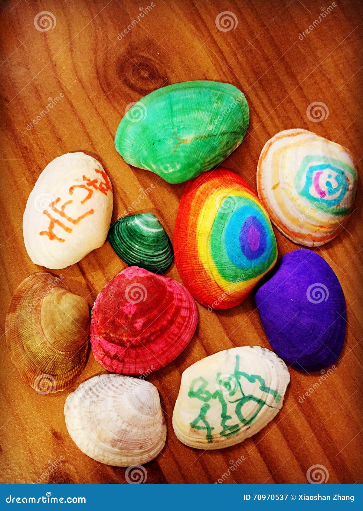 Colourful shells stock image. Image of kids, boys, like - 70970537