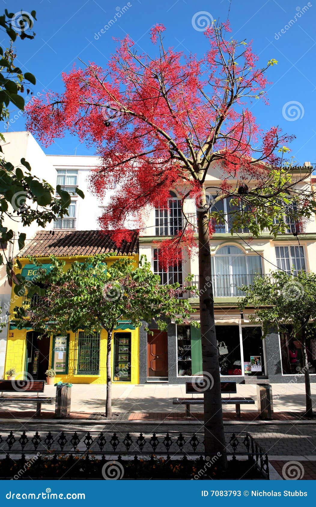 Colourful Spanish Street on the Costa Del Sol Stock Image - Image of ...
