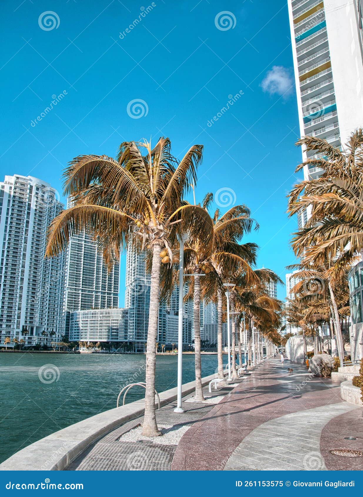 Colourful Streets of Miami on a Sunny Day Editorial Image - Image of ...