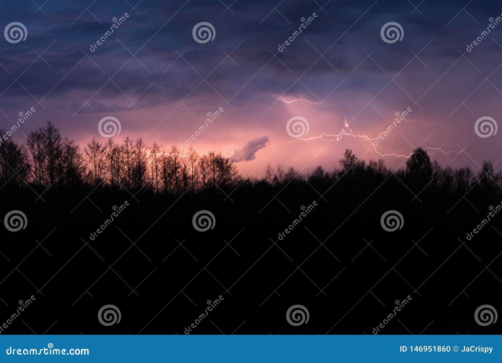 Colourful Summer Thunder Storm Over the Forest at Night. Spectacular ...