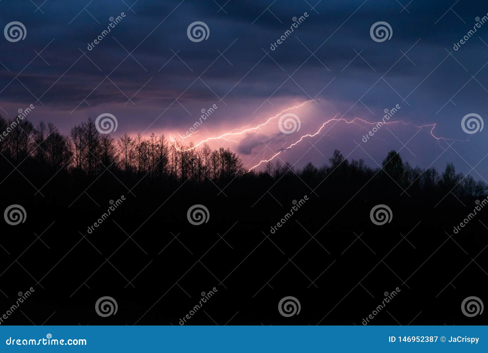 Colourful Summer Thunder Storm Over the Forest at Night. Spectacular ...
