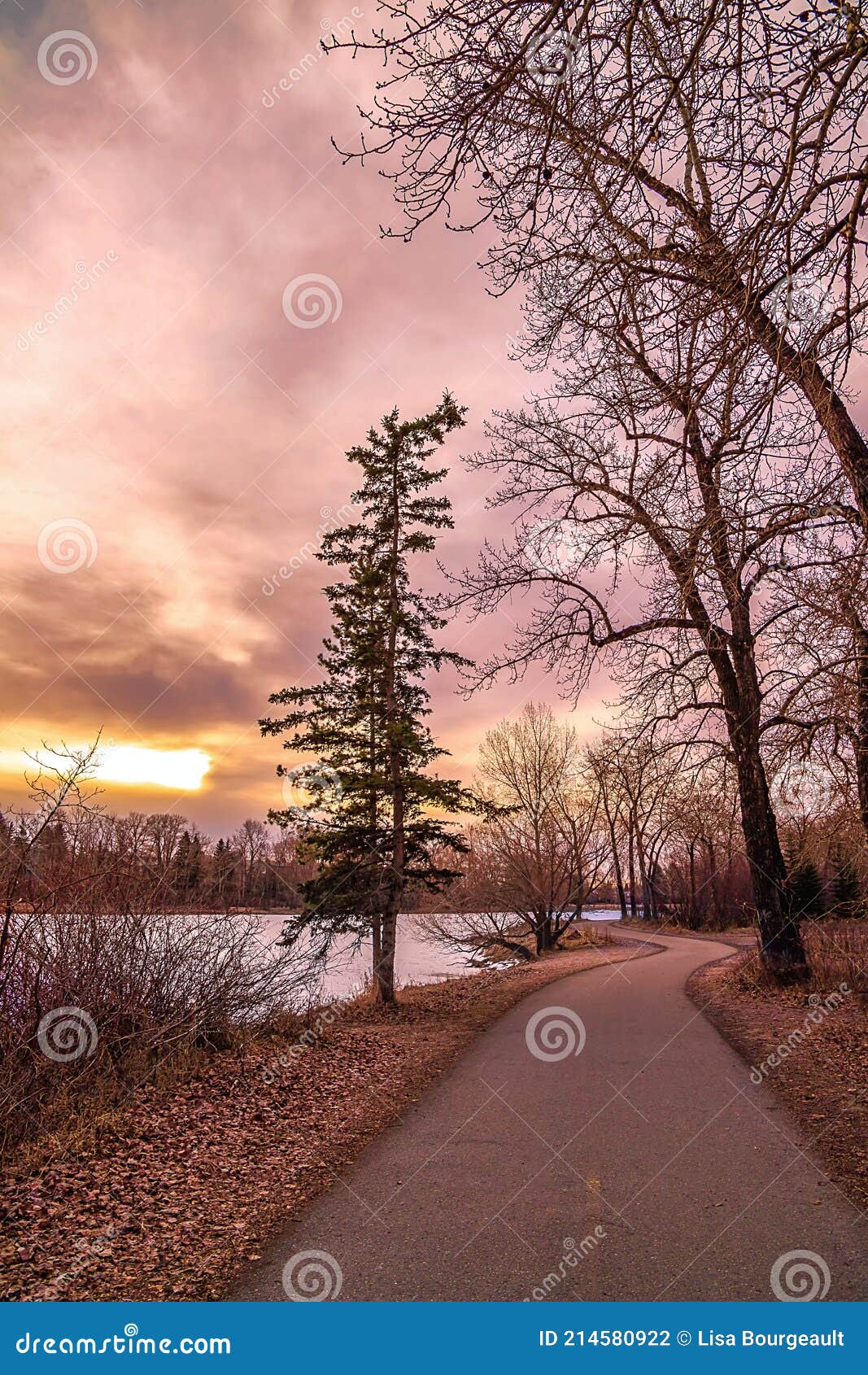 Sunrise Over a Spring Park Pathway Stock Photo - Image of trees, tree ...