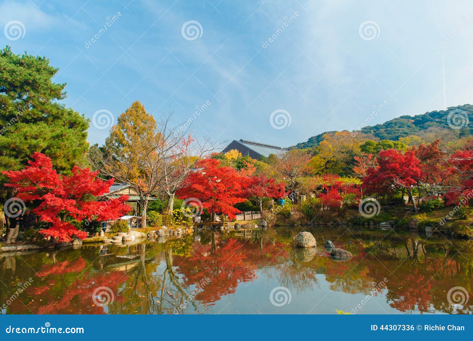 Colourful trees in Japan stock photo. Image of kiyomizu - 44307336