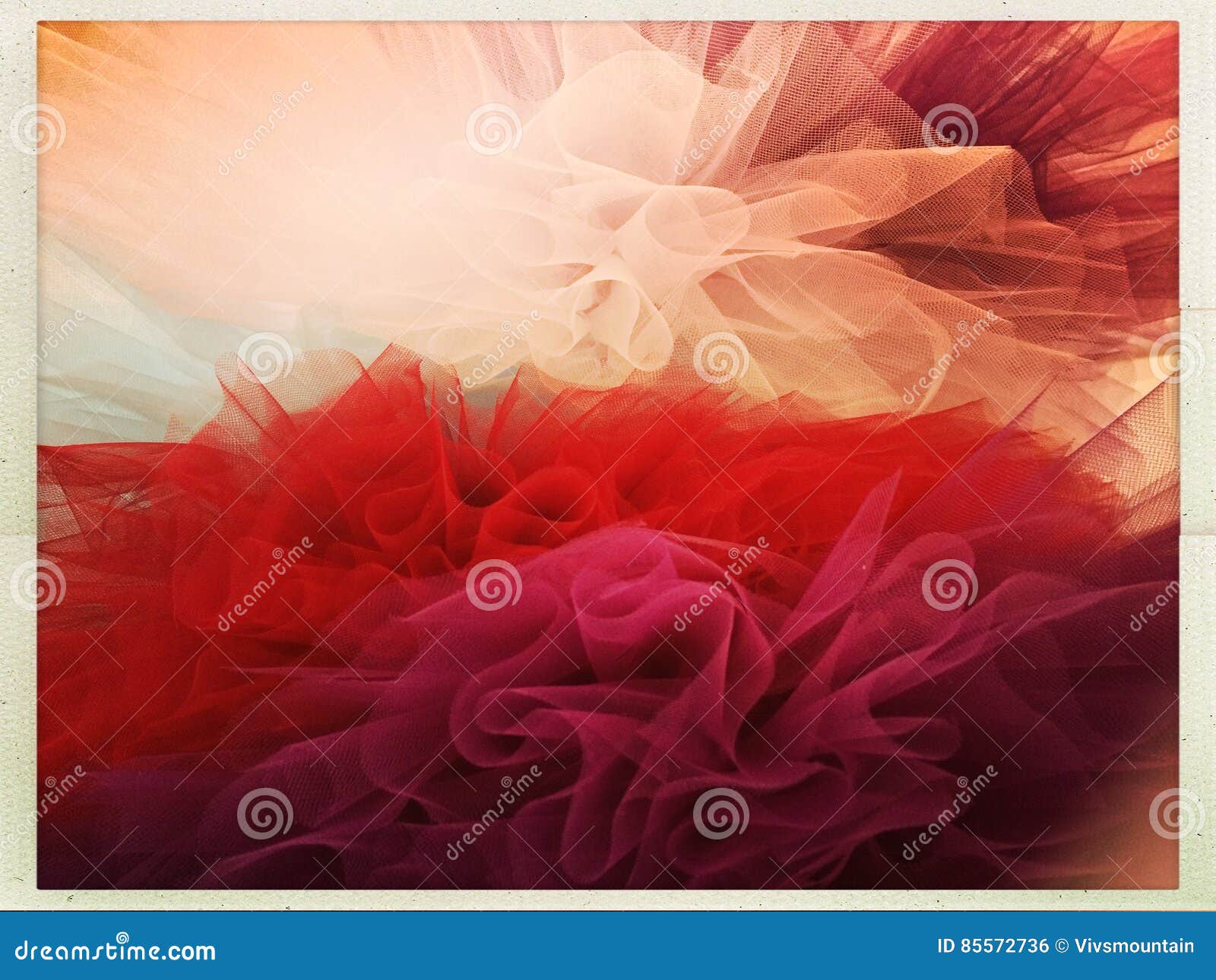 Colourful tutu skirts stock photo. Image of skirts, tutu - 85572736