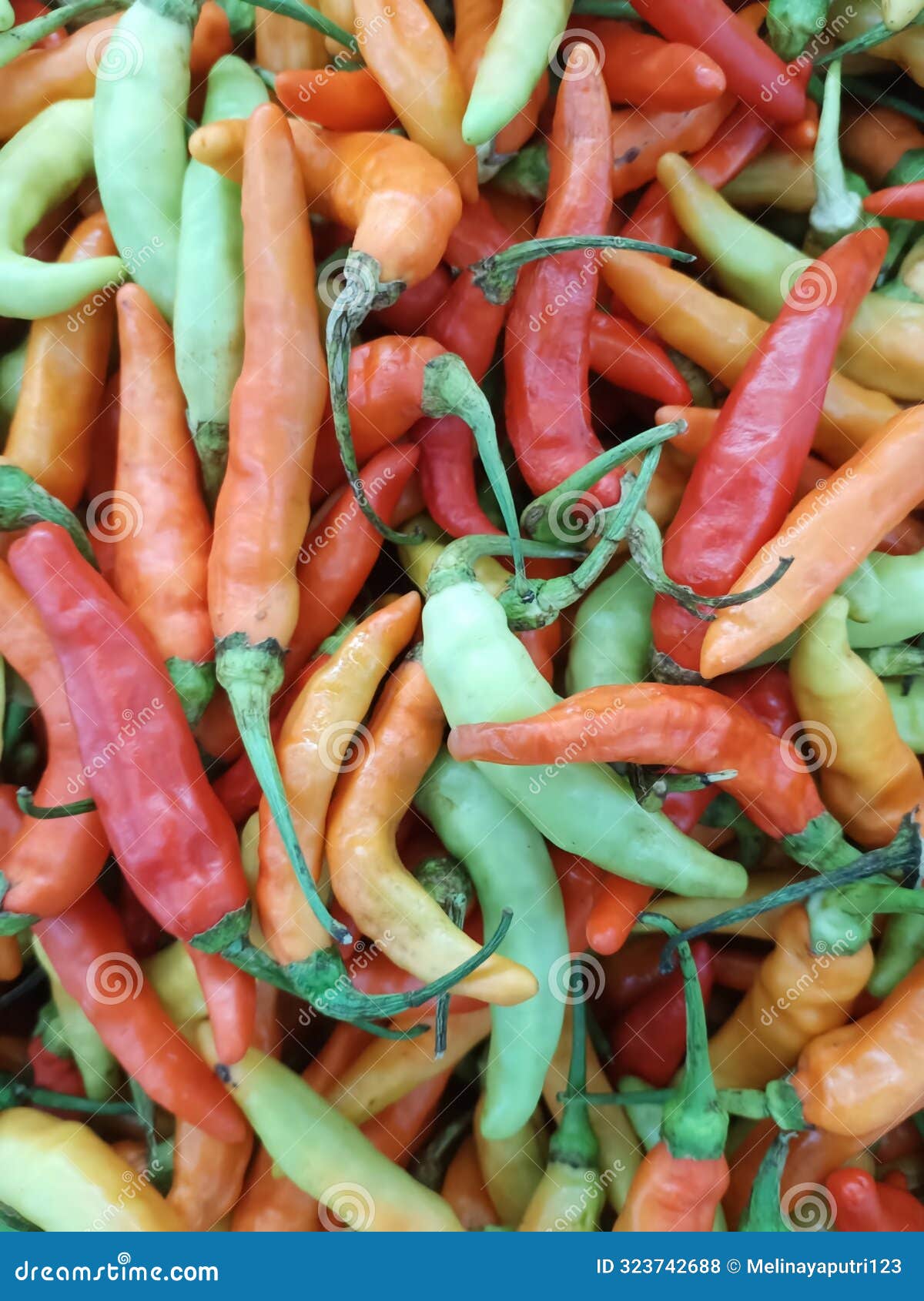 Colourfull Chili Background Stock Photo - Image of colourfull, green ...