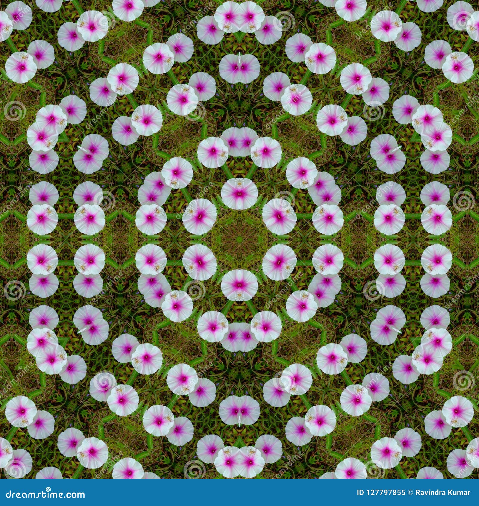 Creative Pattern design stock illustration. Illustration of design ...