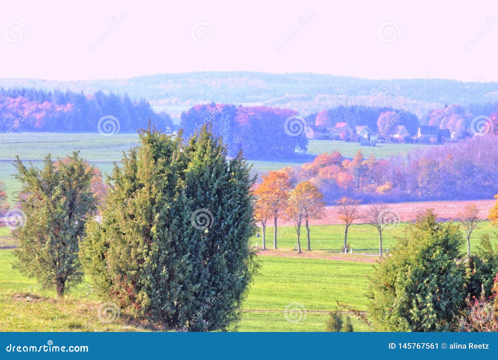 Colourfull Nature Trees stock image. Image of eifel - 145767561