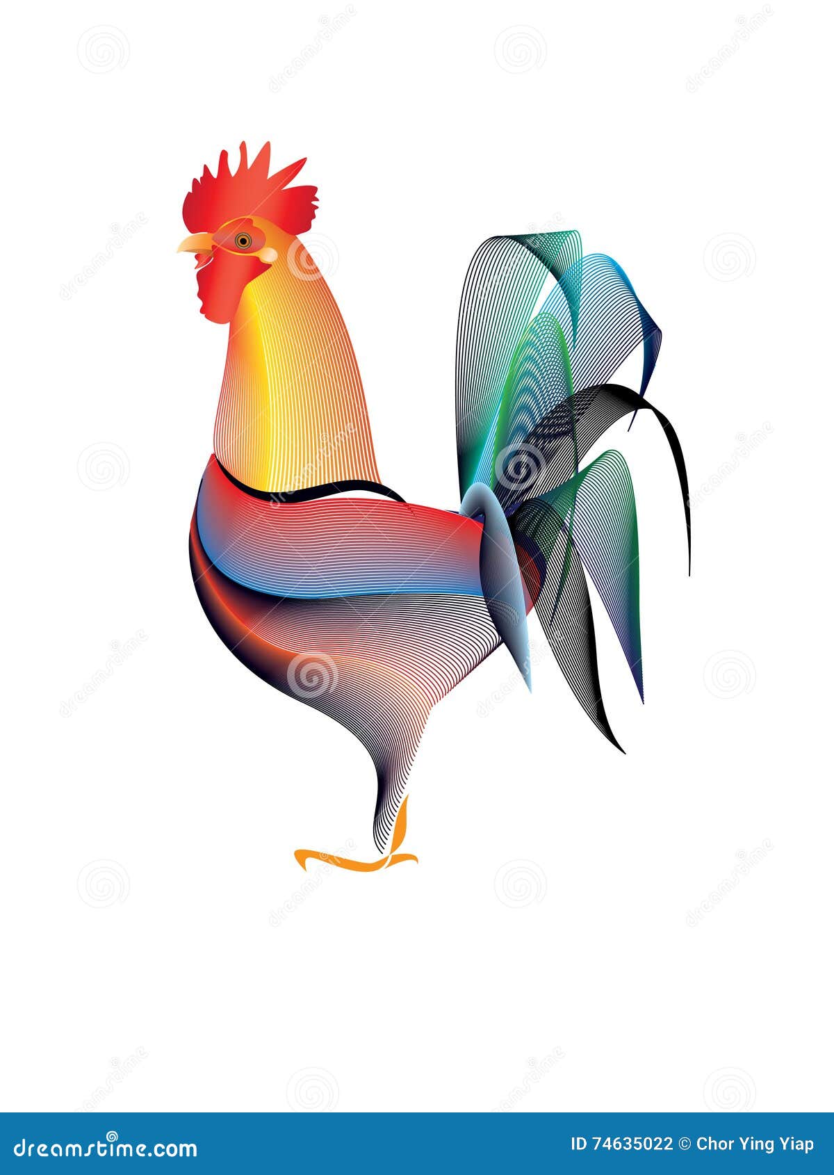 Colourfull Rooster on White Background Stock Vector - Illustration of ...