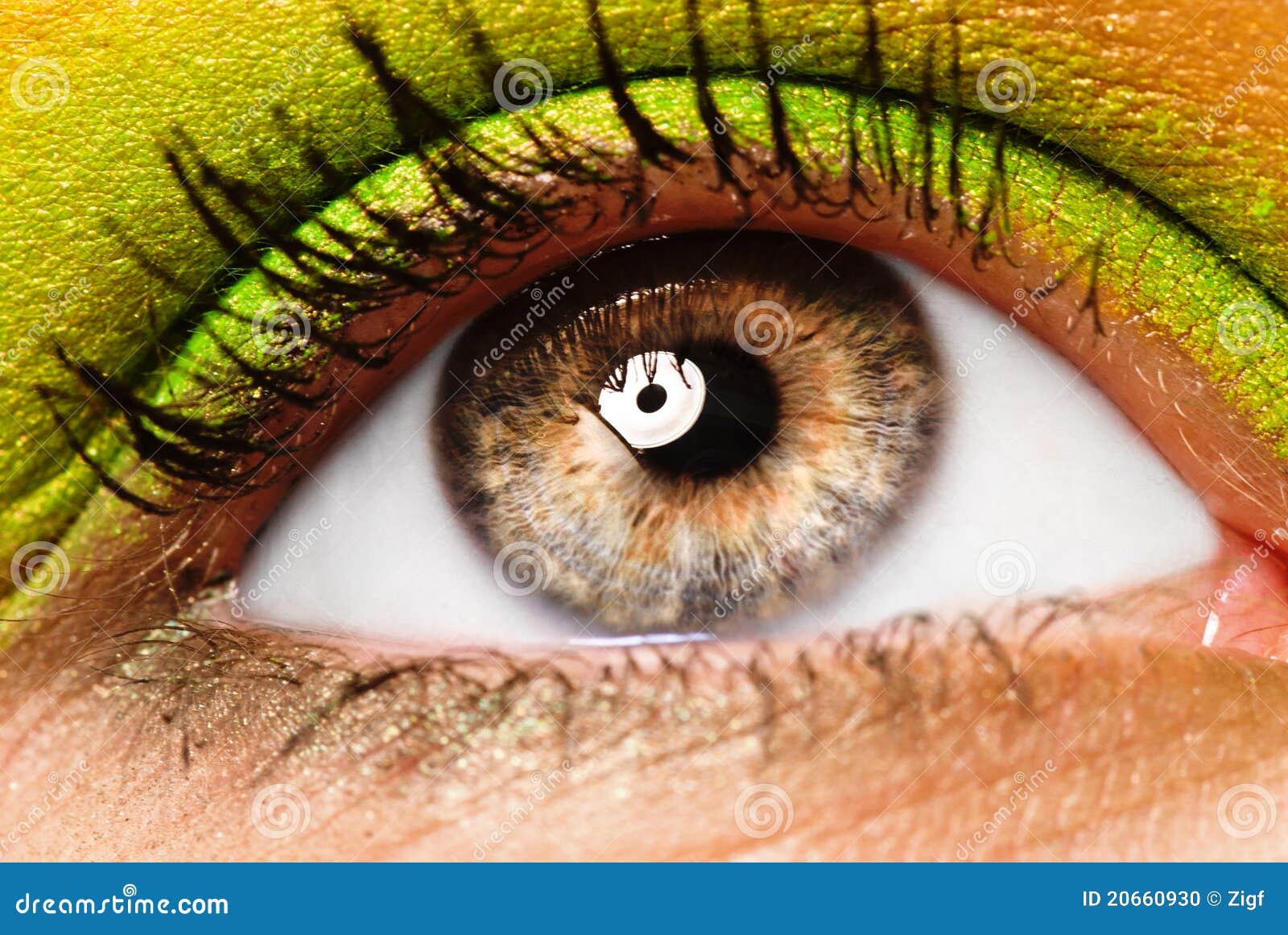 Colourfully painted eye stock photo. Image of fashionable - 20660930