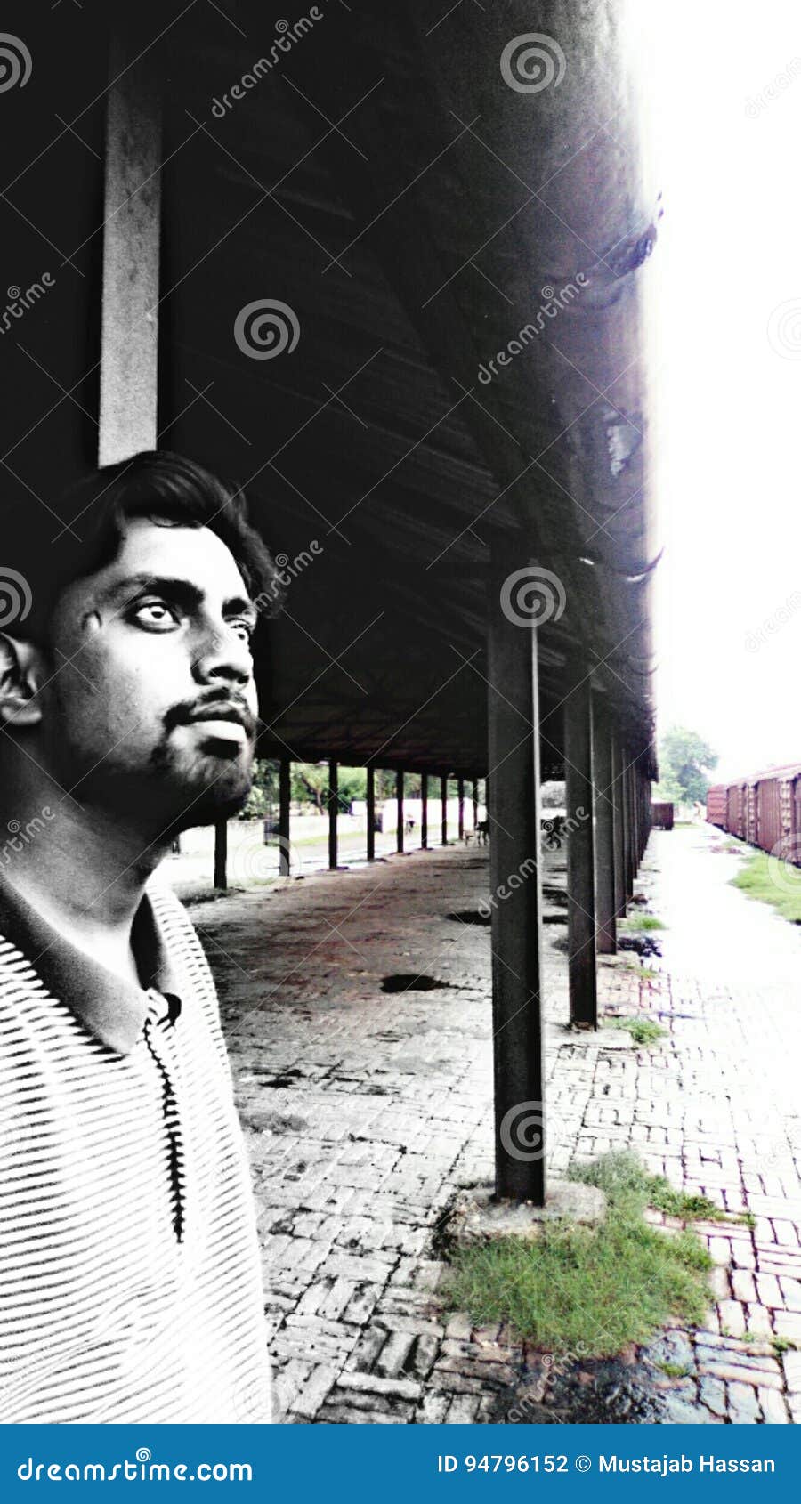 Colourless life stock photo. Image of life, colours, colourless - 94796152