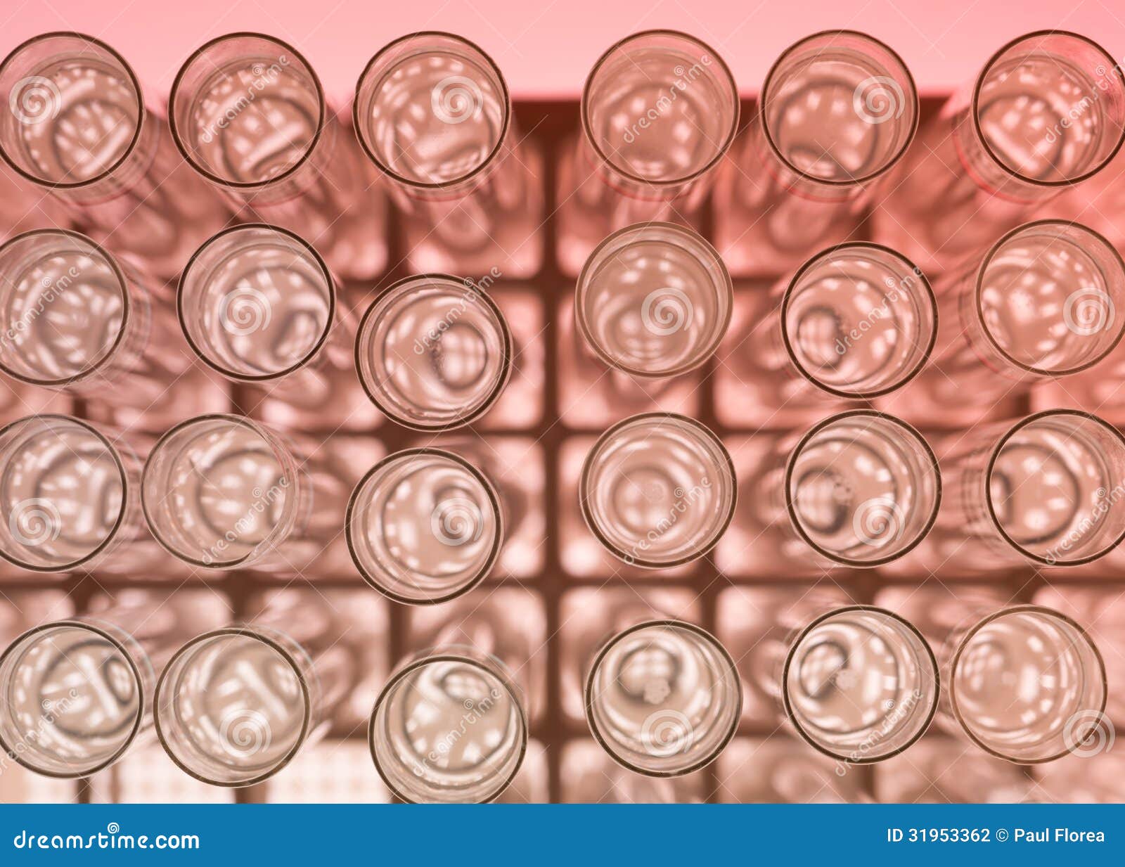 Colourless Solution in Test-tubes in a Stand Stock Photo - Image of ...