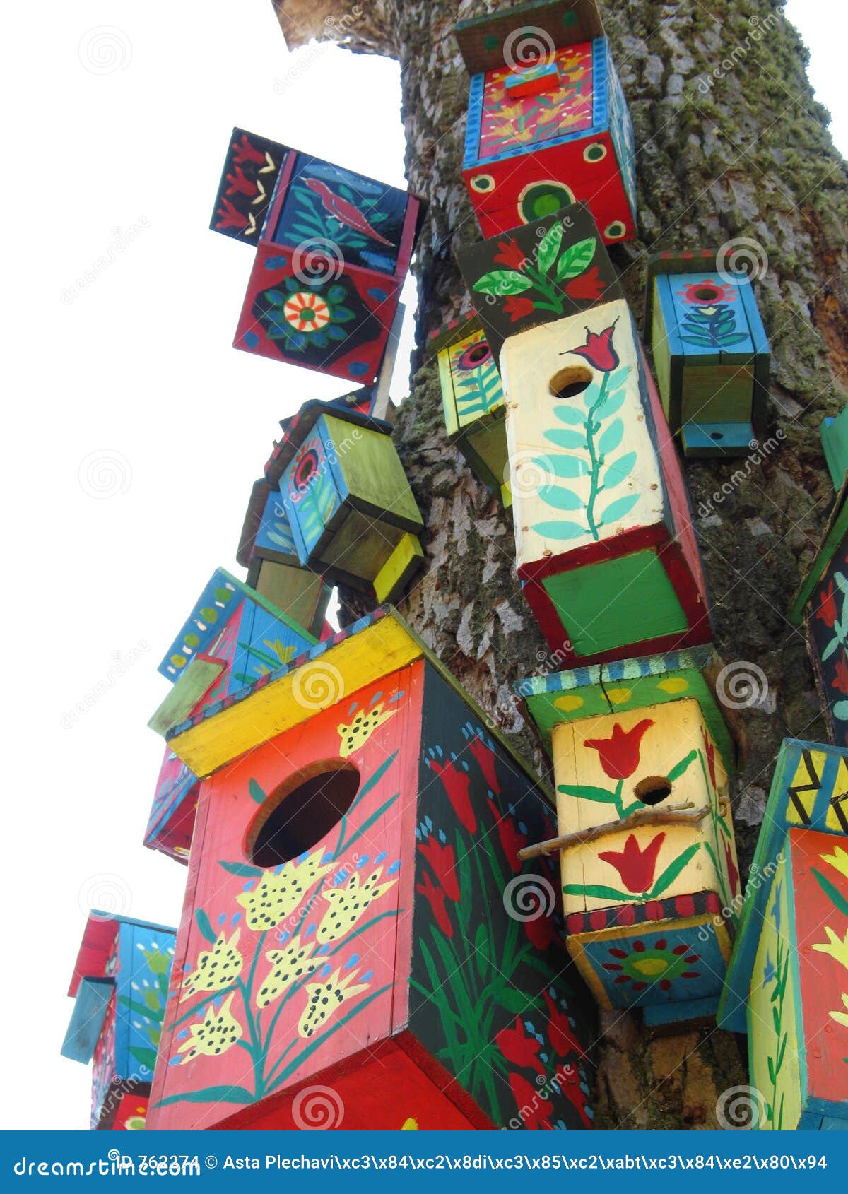 Colours bird boxes stock photo. Image of nature, spring - 762274