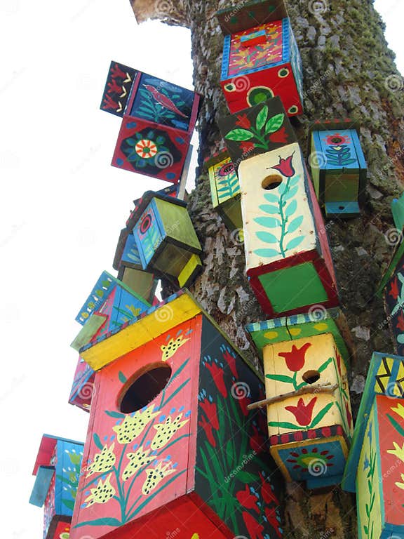 Colours bird boxes stock photo. Image of nature, spring - 762274