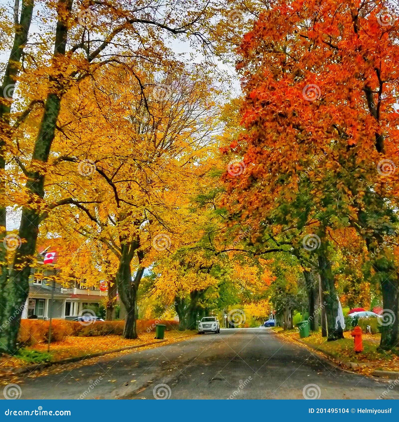 Colours of fall in Canada stock photo. Image of colours - 201495104