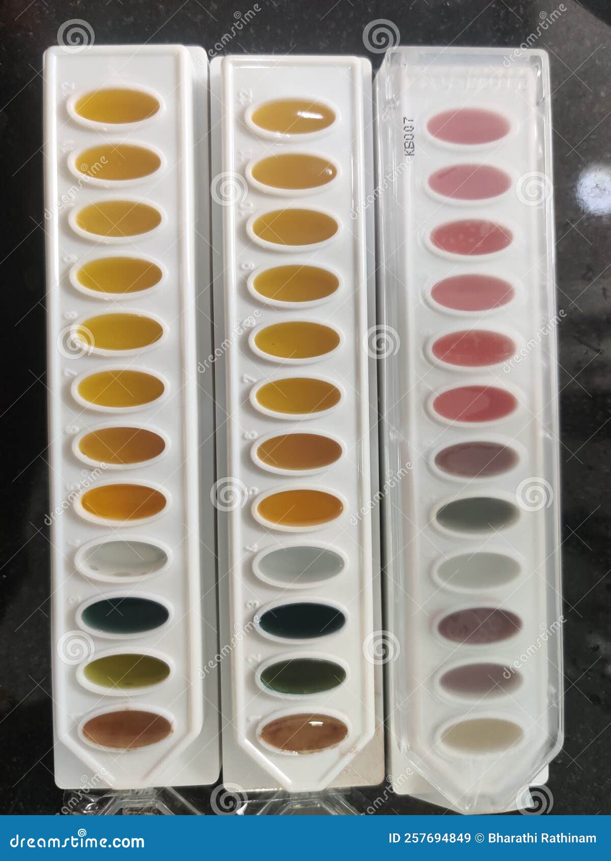 Colours in the laboratory stock image. Image of colourful - 257694849