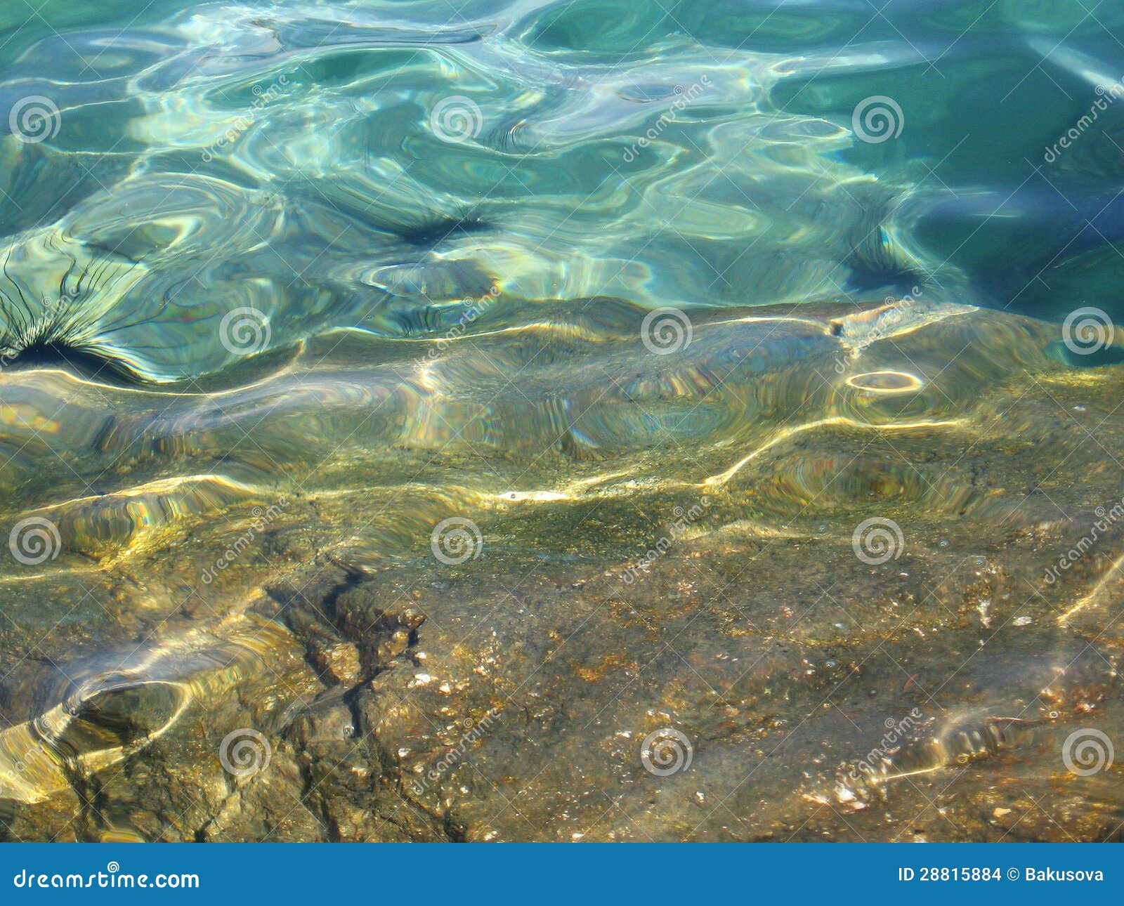 Colours of the Sea stock photo. Image of colors, vivid - 28815884