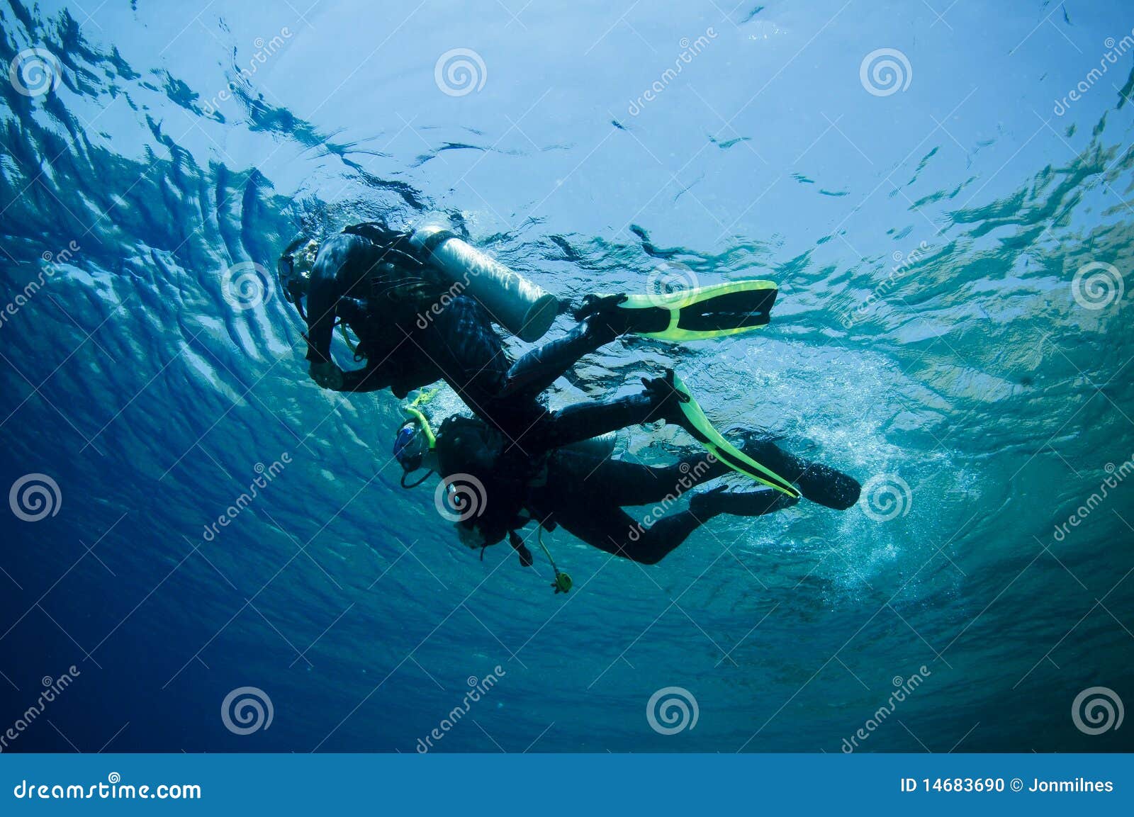 Colpo Subacqueo Degli Operatori Subacquei Di Scuba Fotografia Stock ...