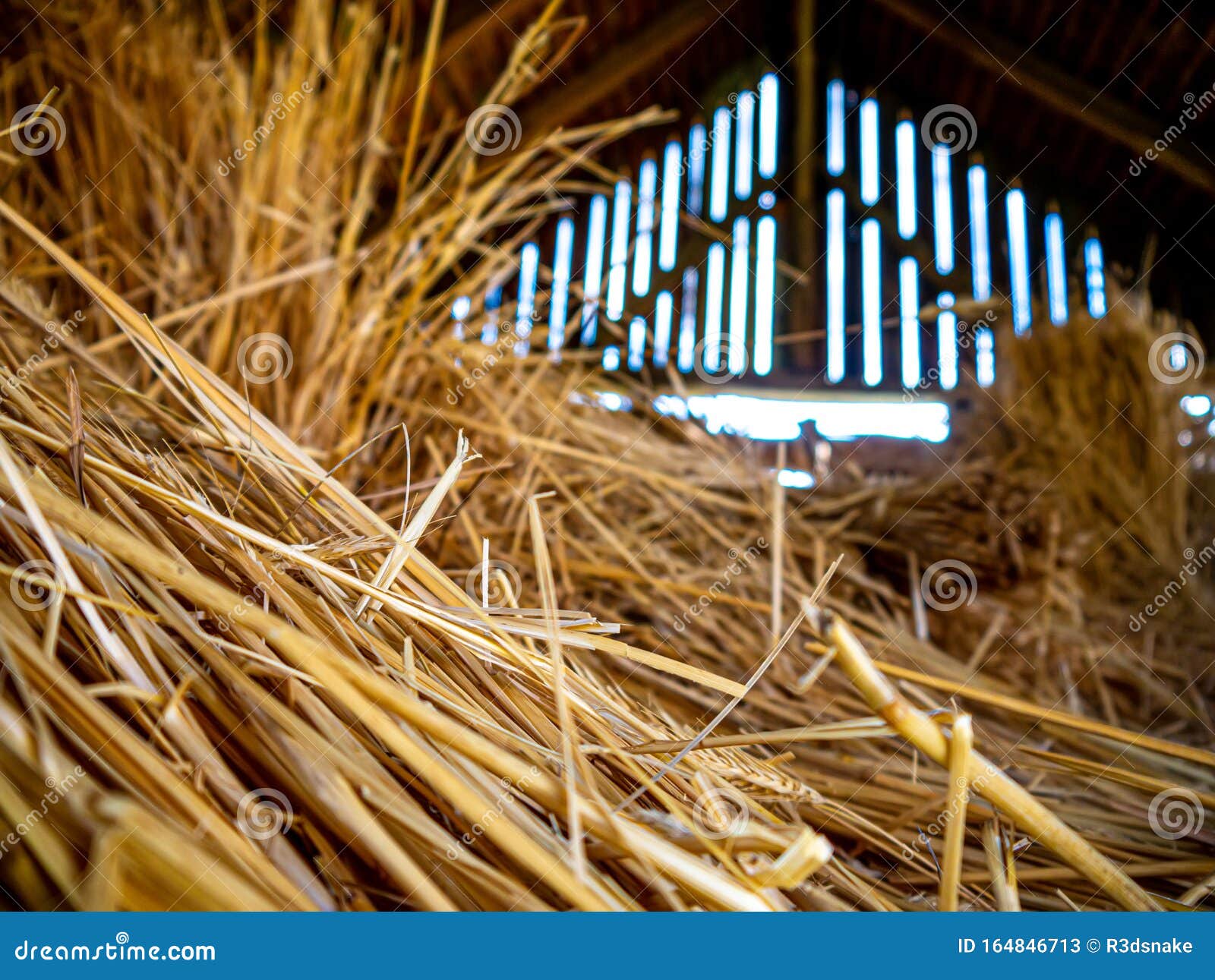 Closeup View of a Straw Pile Stock Image - Image of farming, feed ...