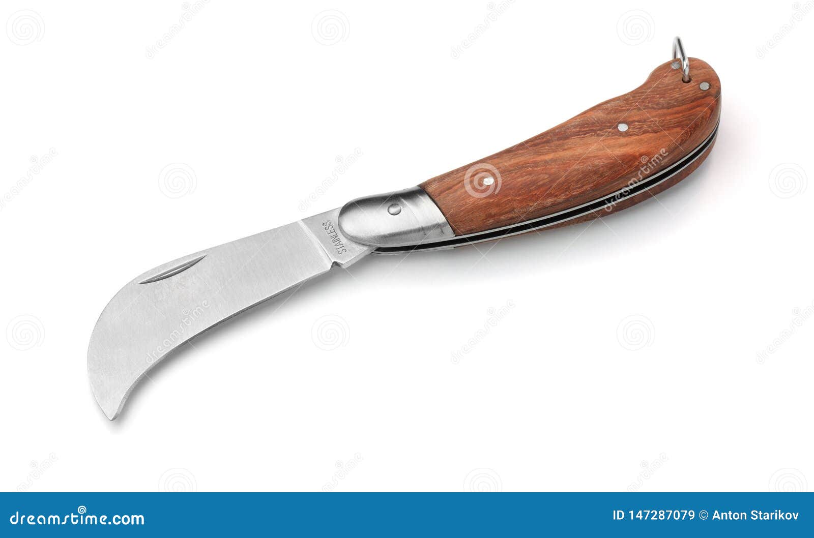 Coltello di tasca curvo immagine stock. Immagine di fungo - 147287079